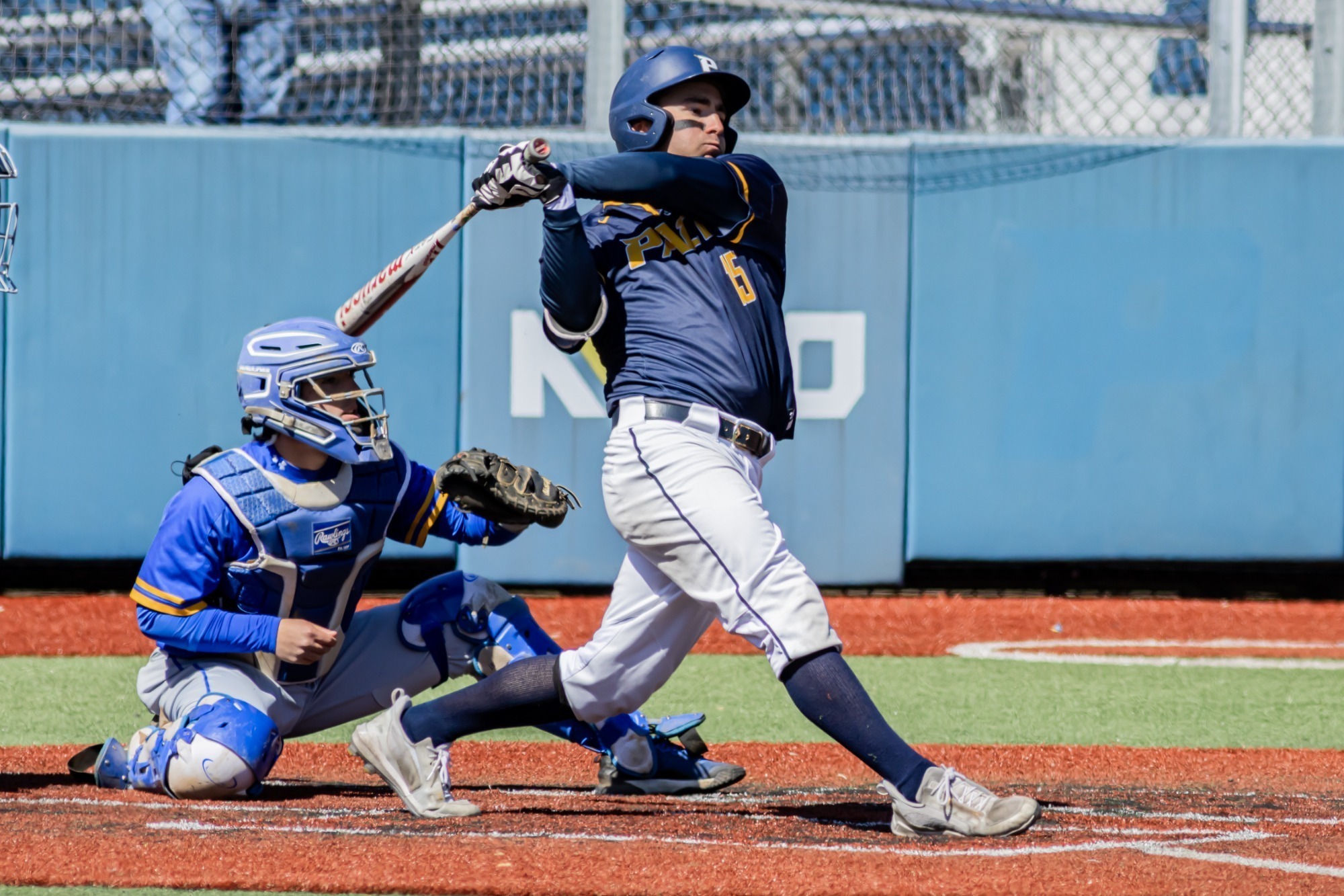 Matthew Rinaldi - 2024 - Baseball - Pace University Athletics