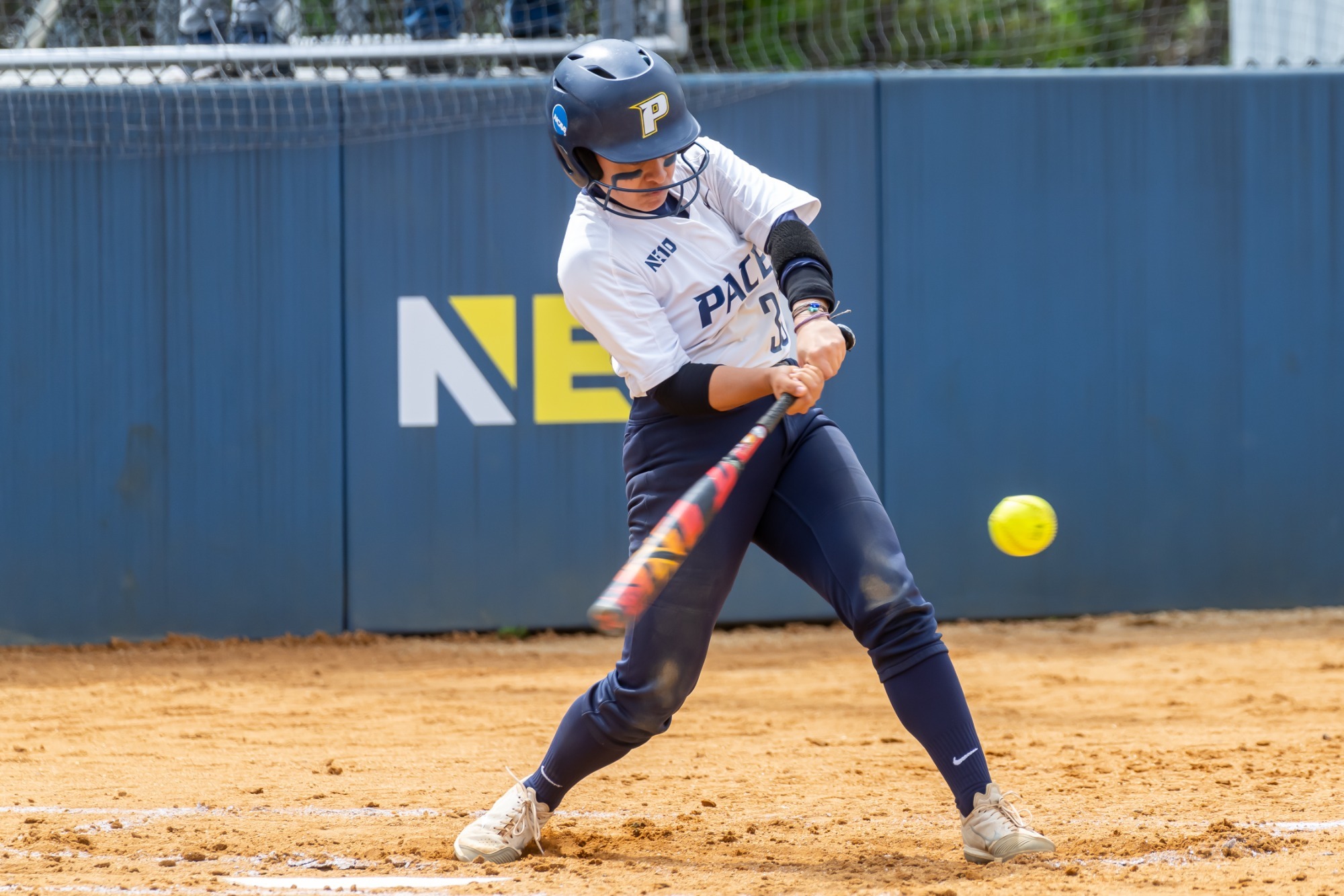 Alexandra Tejeda - 2023 - Softball - Pace University Athletics