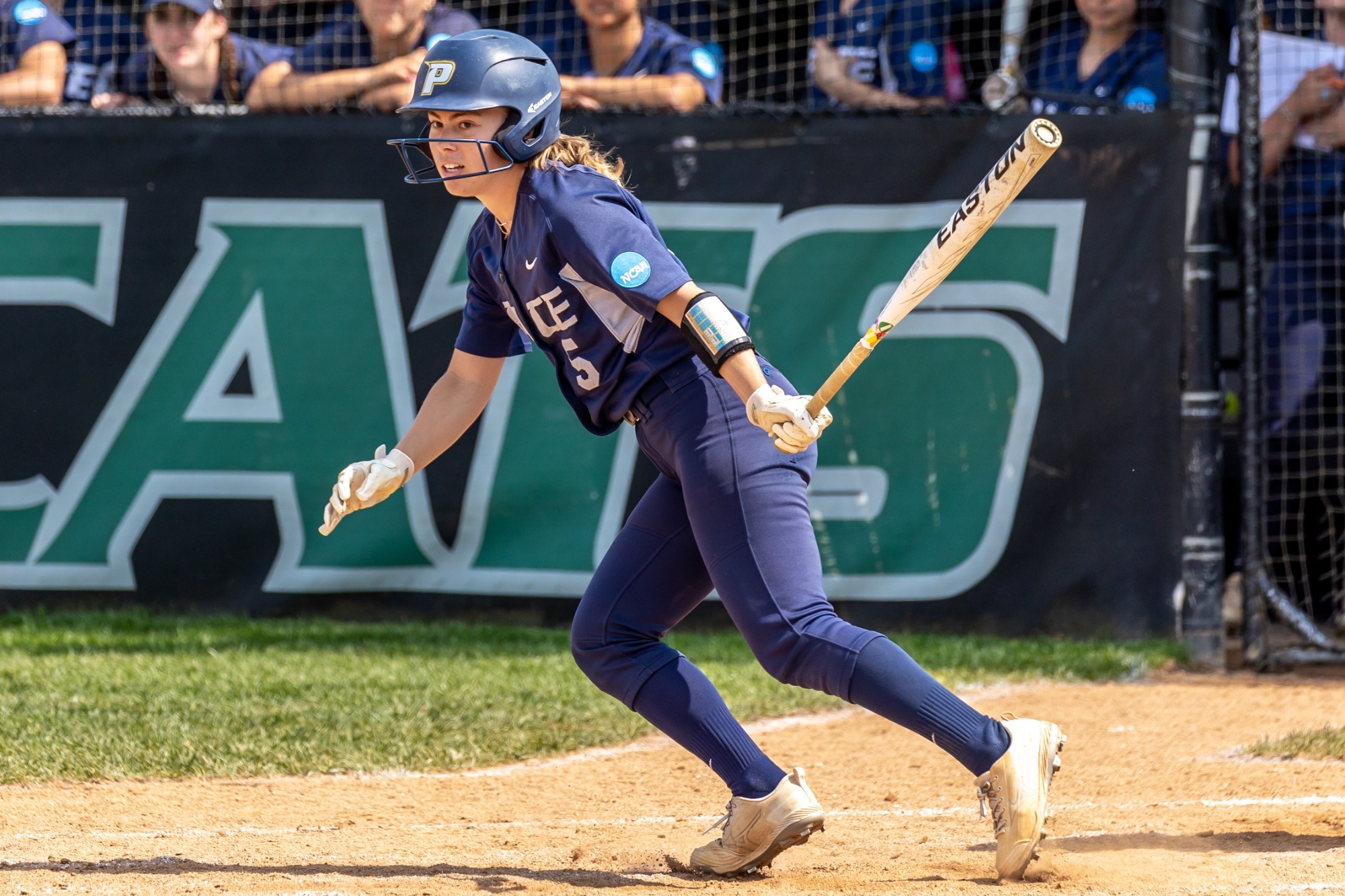 Sammi Swenson - 2023 - Softball - Pace University Athletics