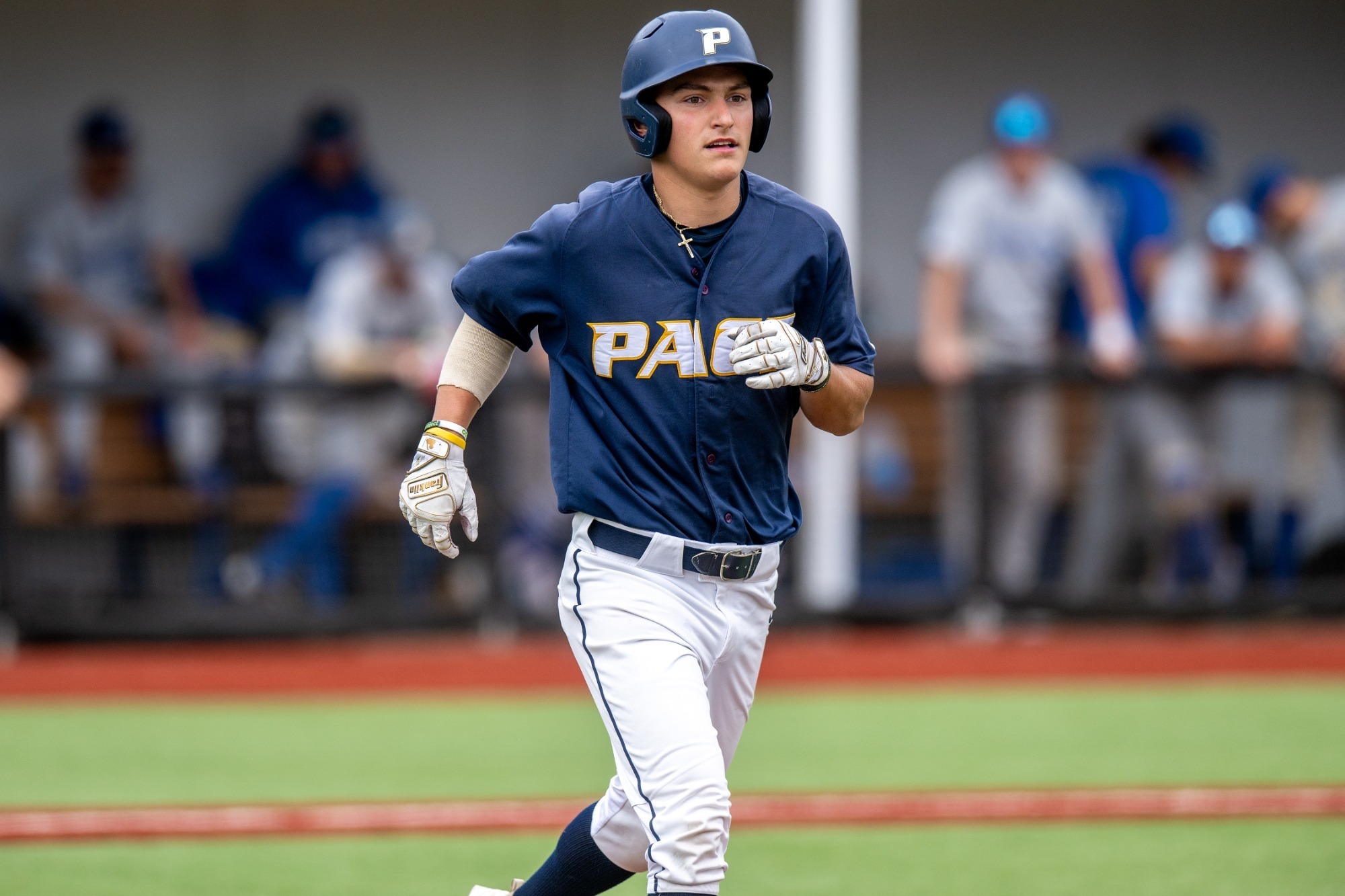 Andrew Oakland - 2023 - Baseball - Pace University Athletics