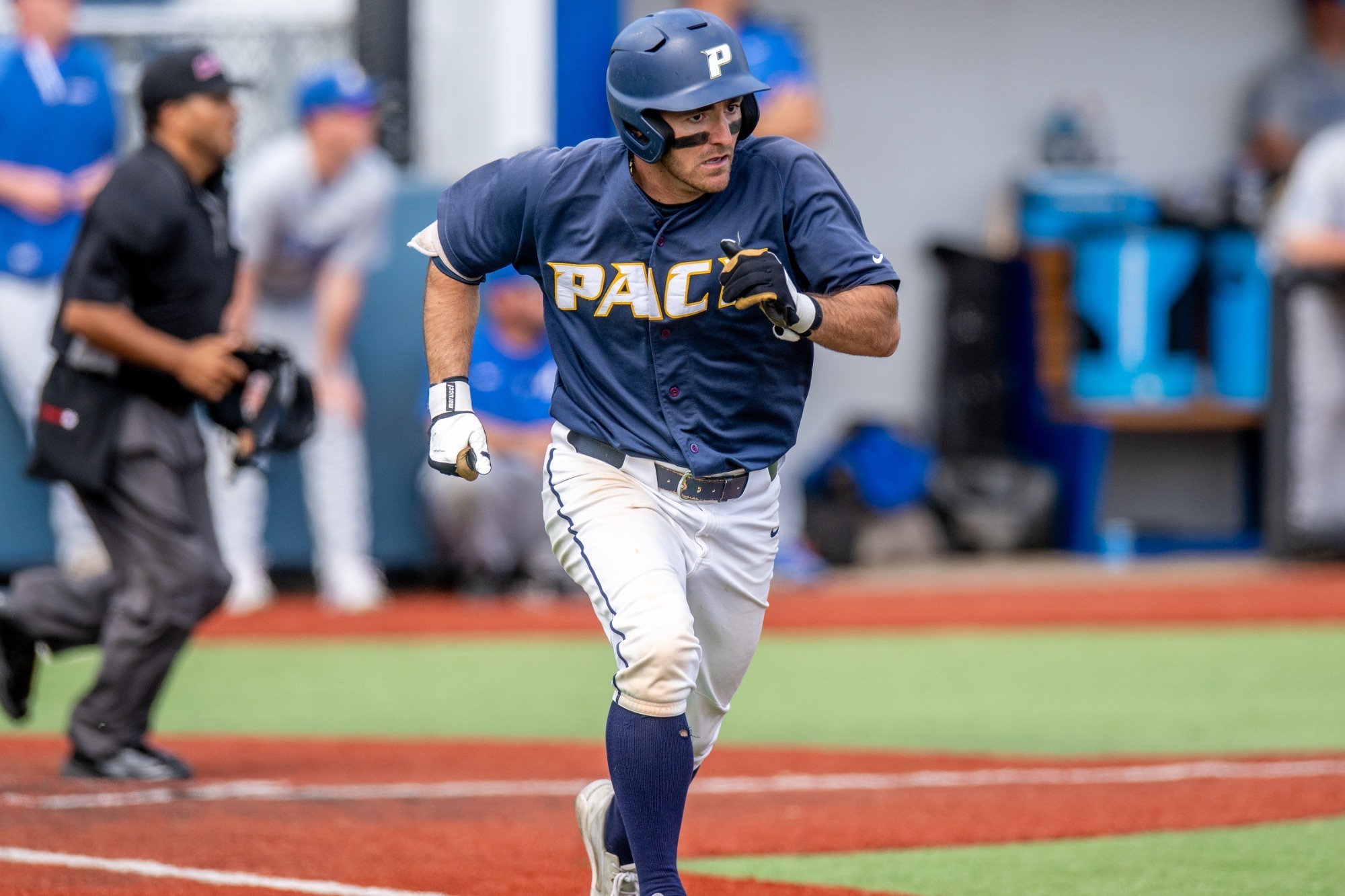 Matthew Rinaldi - 2024 - Baseball - Pace University Athletics