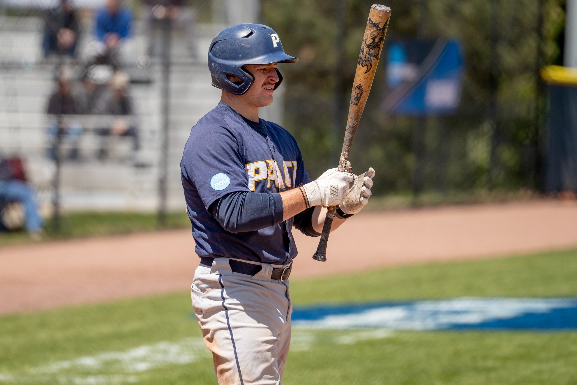Mitchell McCabe - 2023 - Baseball - Pace University Athletics