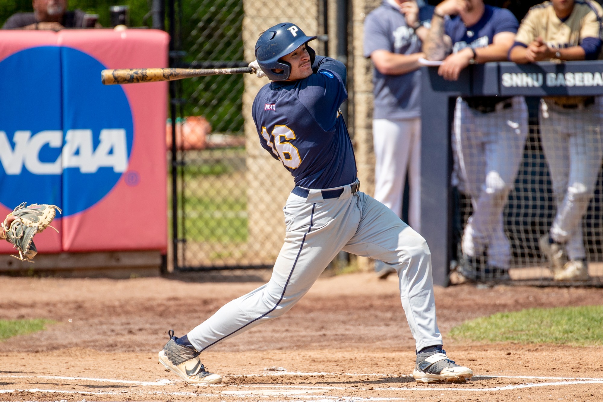 Mitchell McCabe - 2023 - Baseball - Pace University Athletics