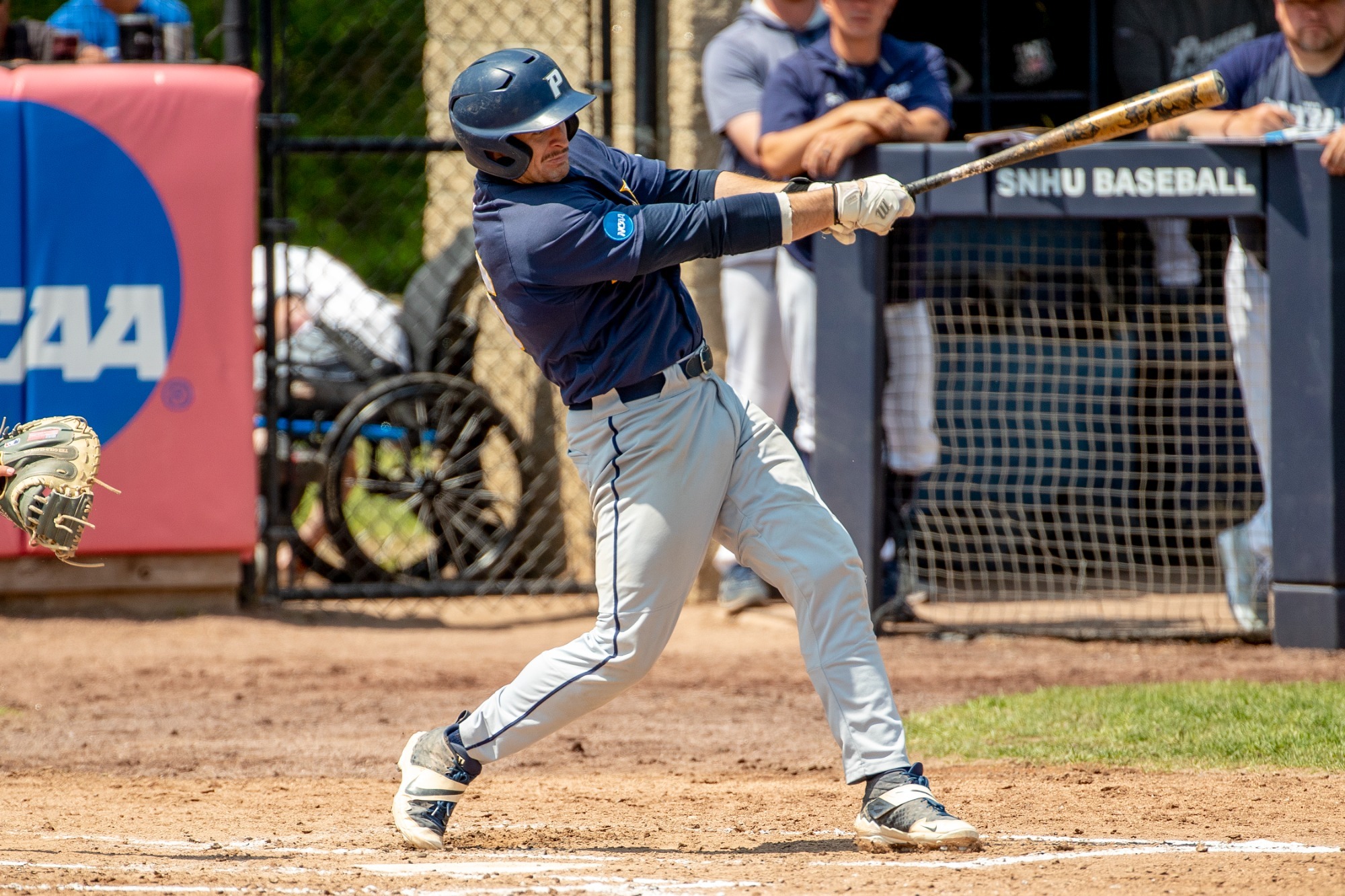 Mitchell McCabe - 2023 - Baseball - Pace University Athletics