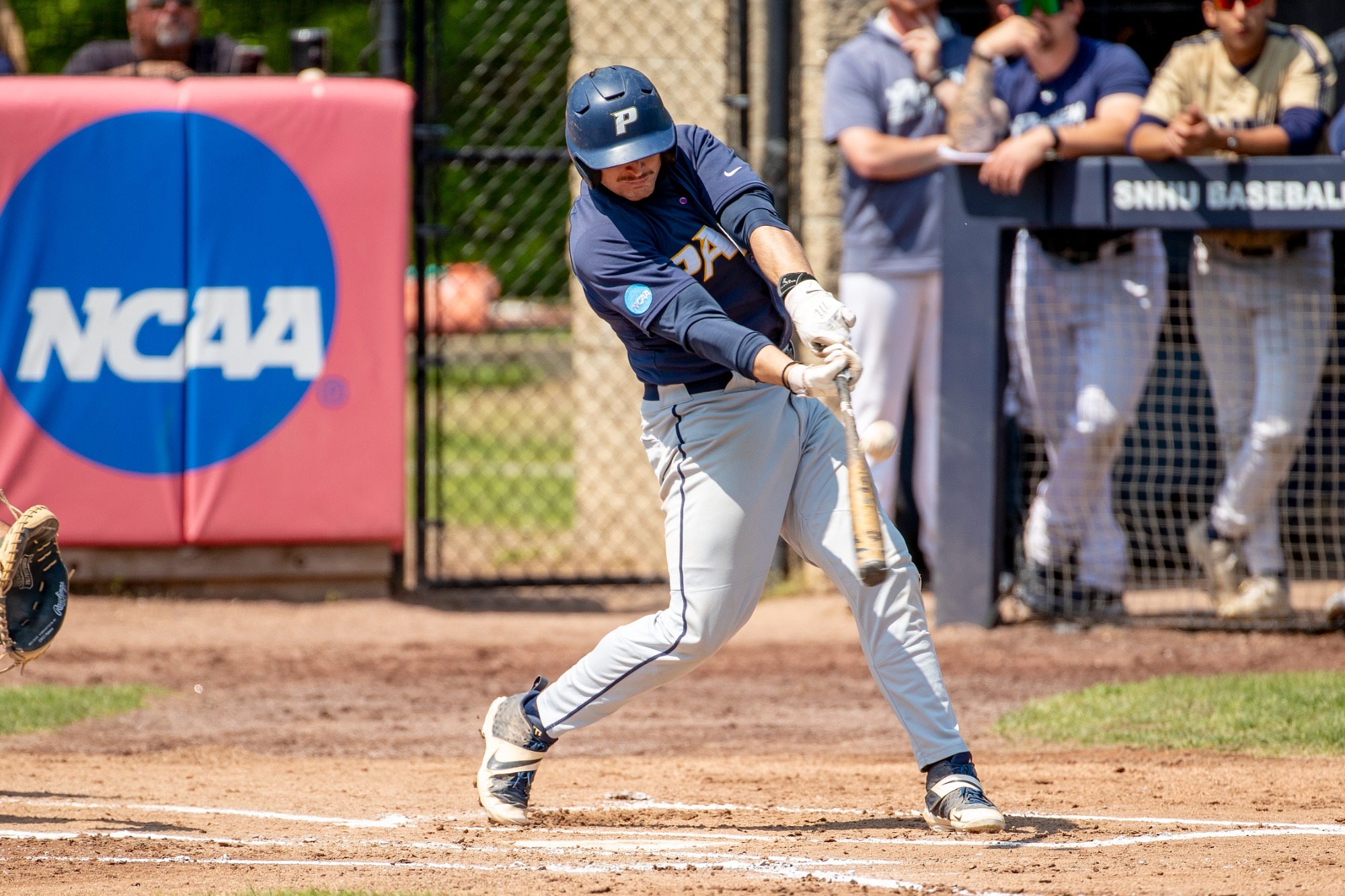 Mitchell McCabe - 2023 - Baseball - Pace University Athletics