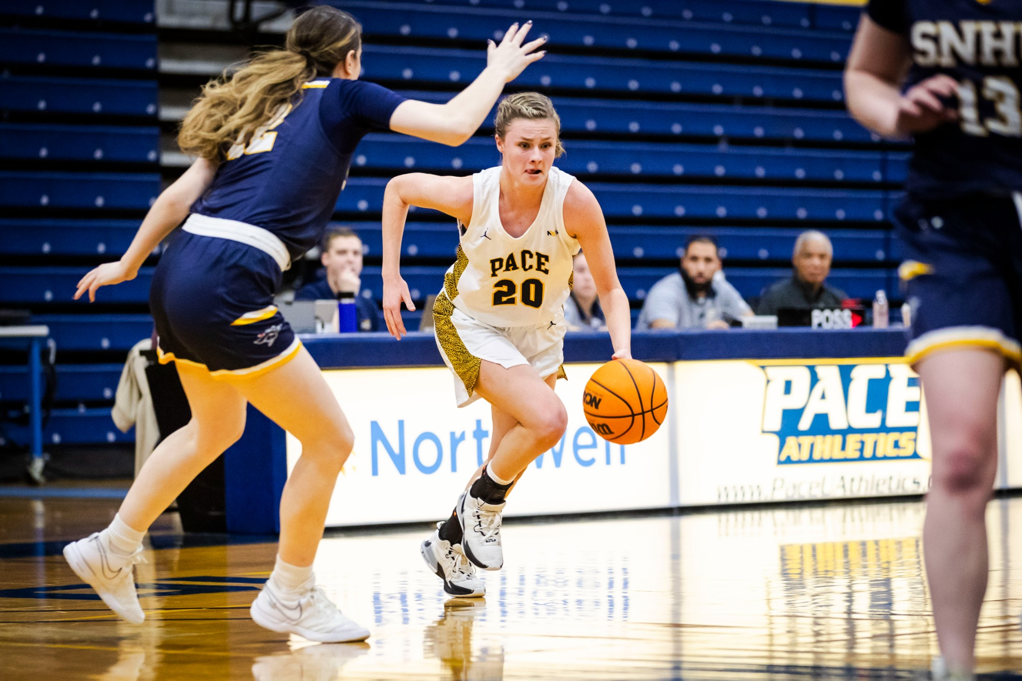 Setters Stumble in Loss to Assumption - Pace University Athletics