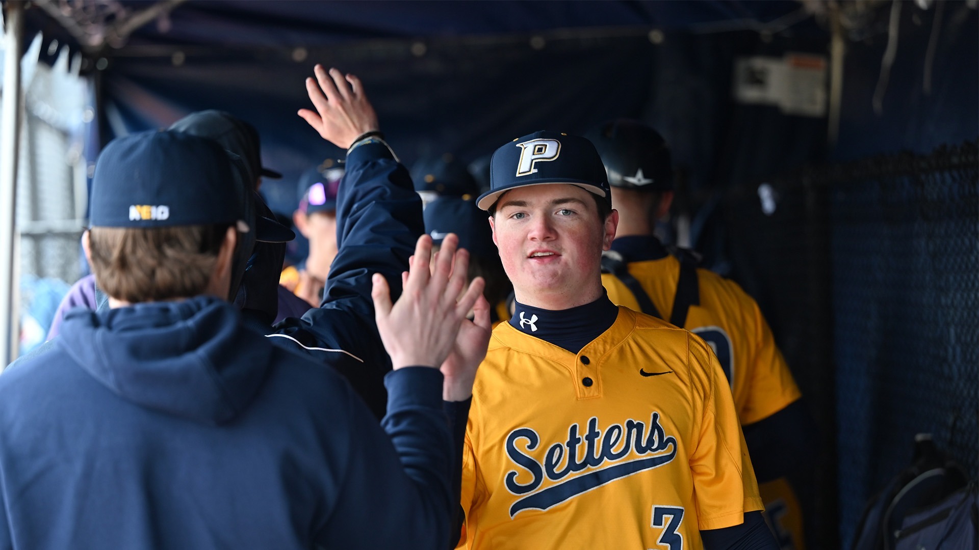 Dylan Koch - 2024 - Baseball - Pace University Athletics