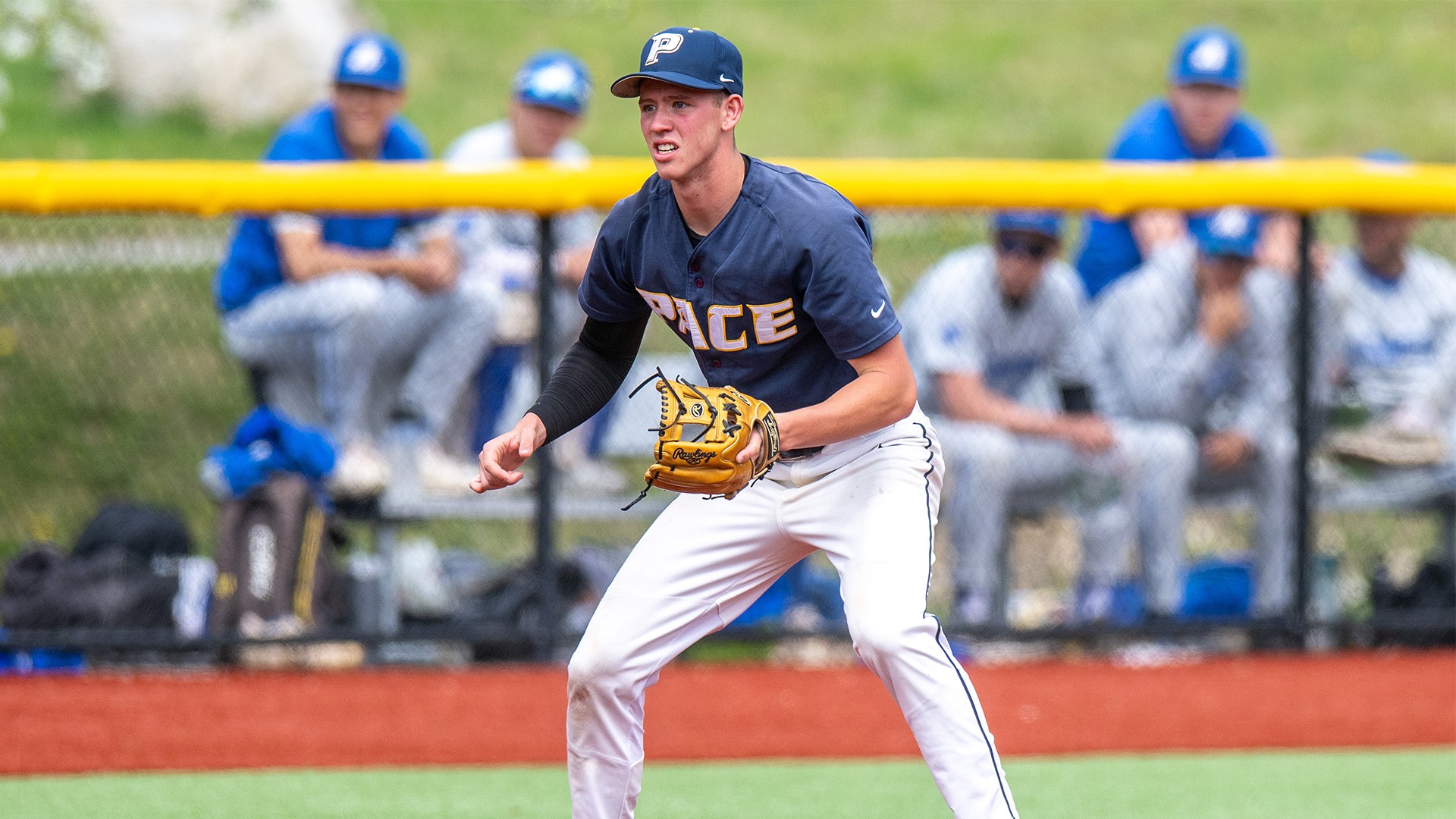 Setters Outmatched on the Road by No. 16 Molloy - Pace University Athletics