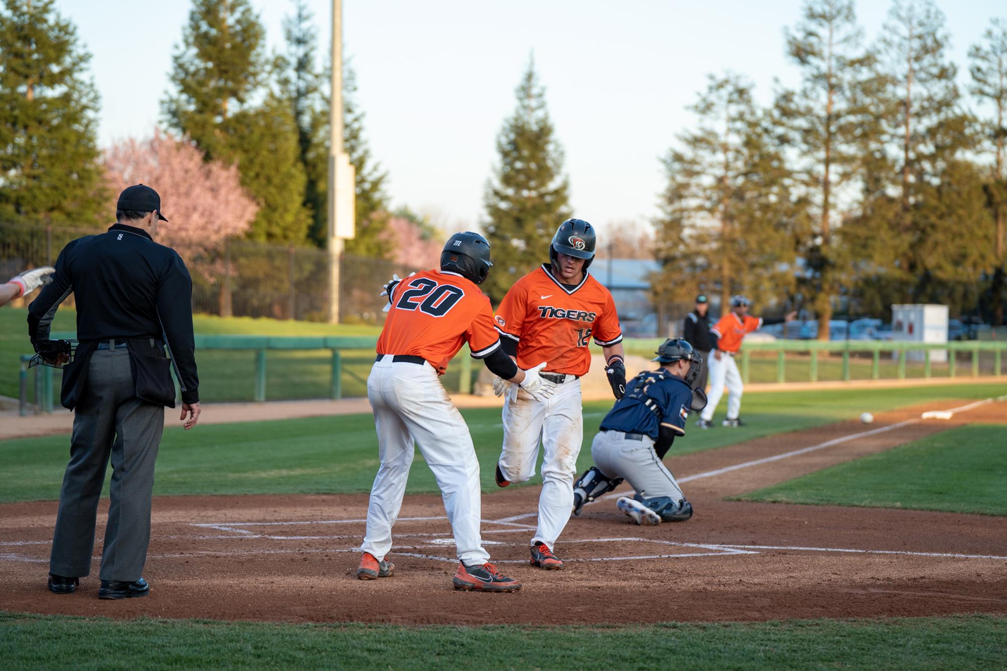 Thomas Gavello - 2022 - Baseball - University of the Pacific