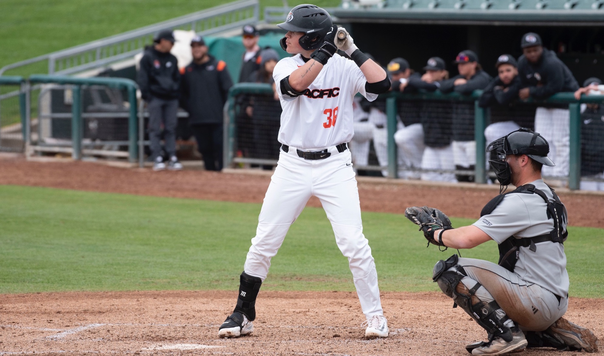 Gabe Camacho - 2024 - Baseball - University of the Pacific