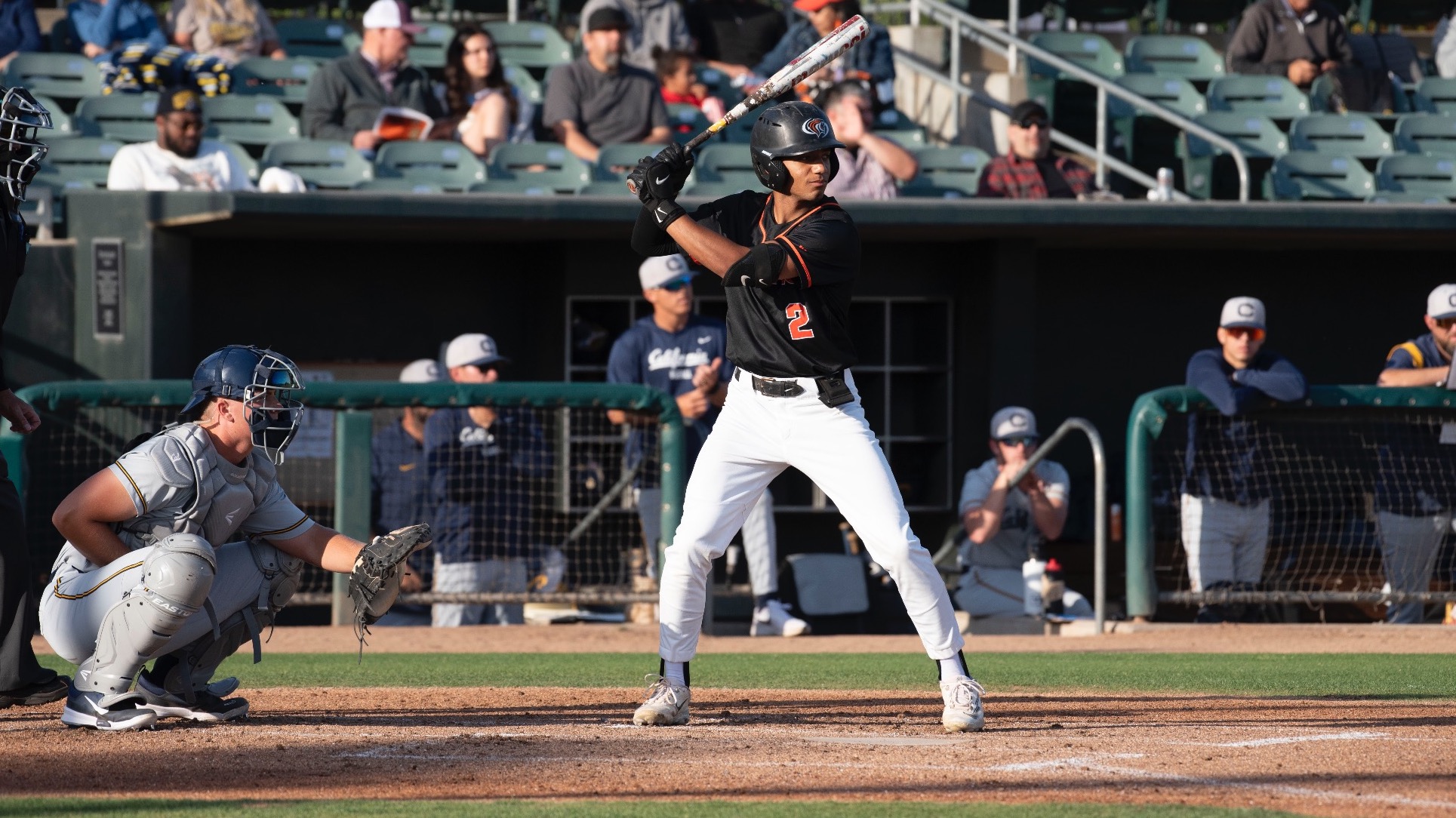 Tigers Score First in Loss to Golden Bears - University of the Pacific