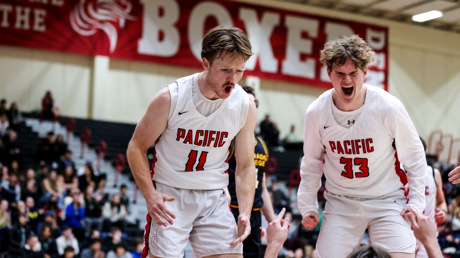 Boxers knock out Northwest Indian College - Pacific University Athletics