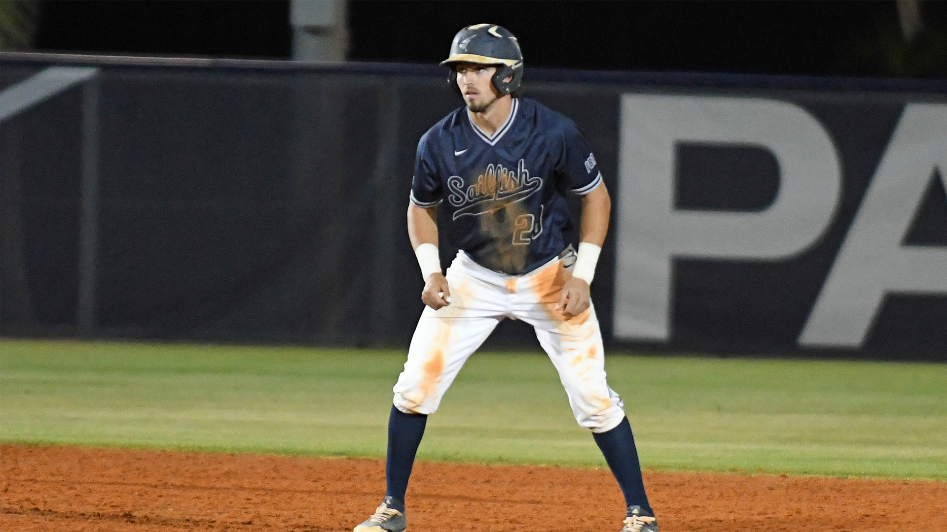 Ryan Johnson - Baseball - Palm Beach Atlantic University Athletics