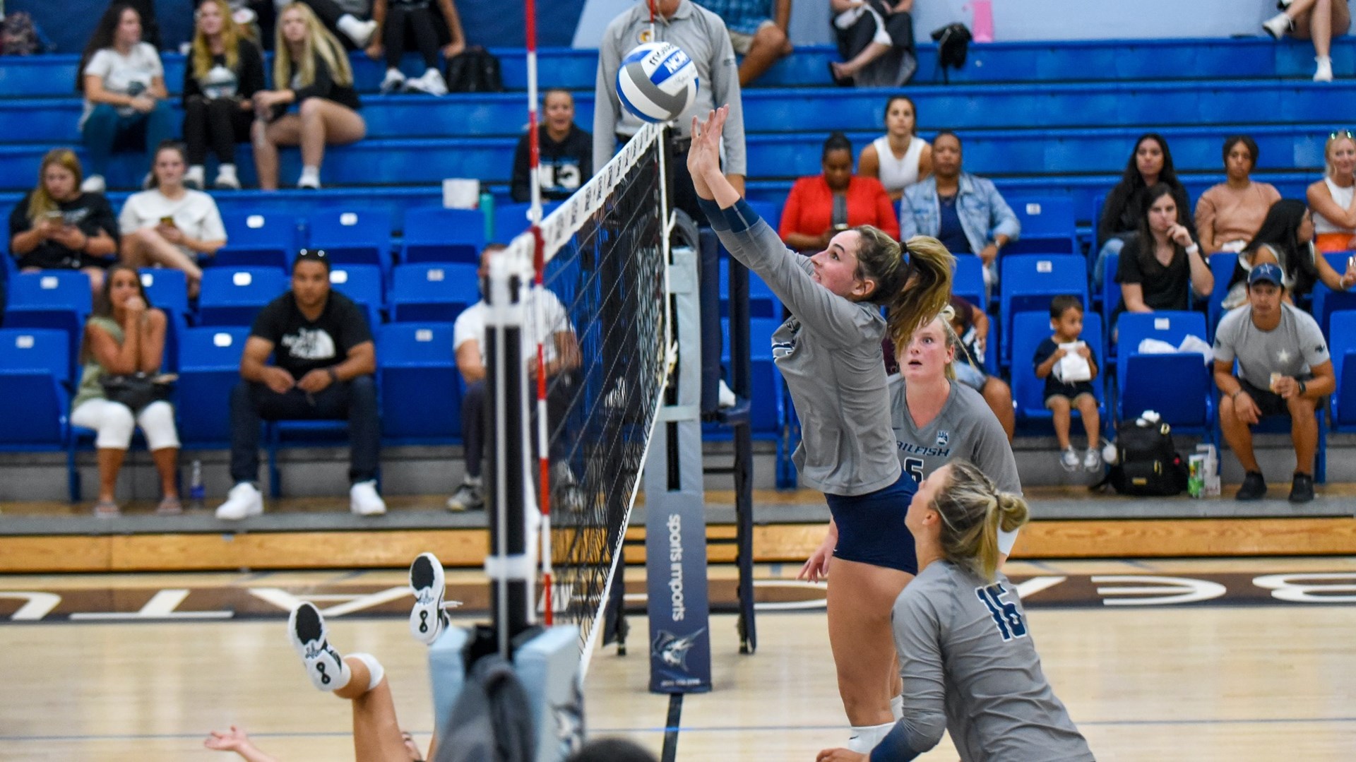 Kaileigh Ammons - Women's Volleyball - Palm Beach Atlantic University ...
