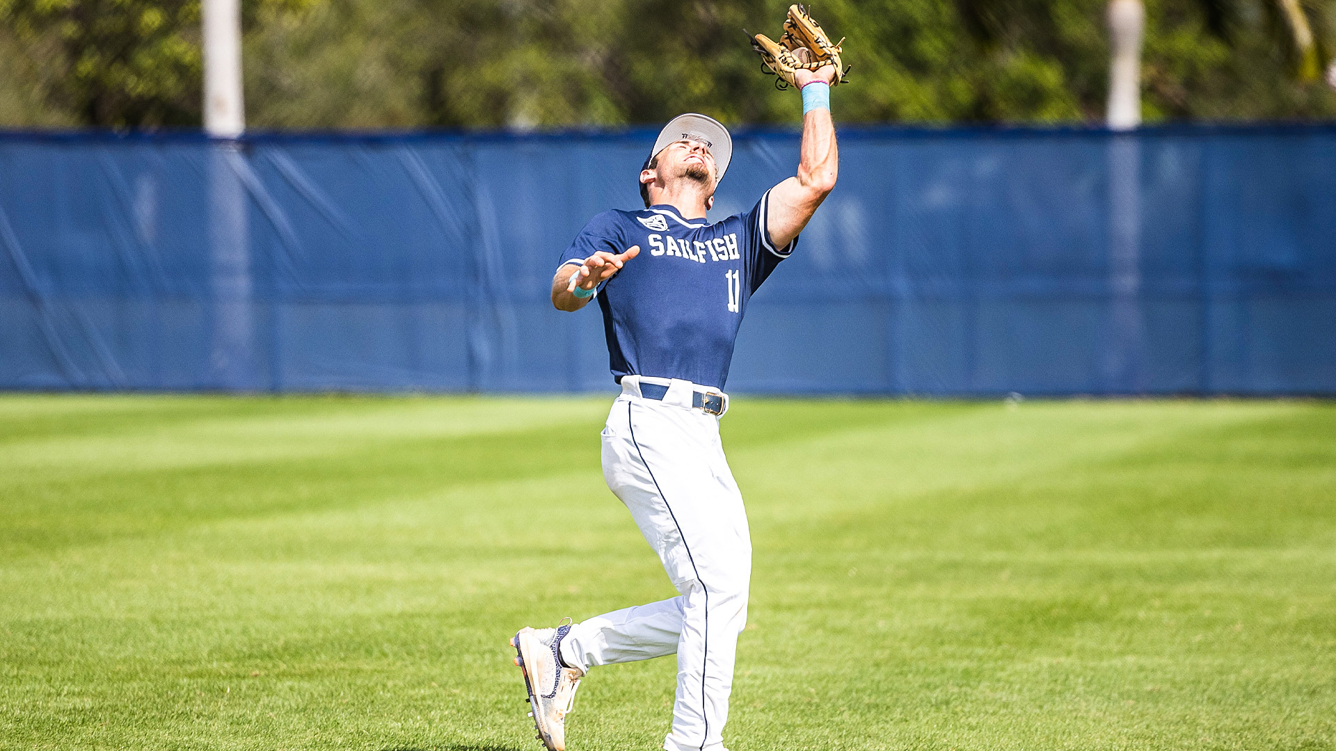 Comeback Effort Comes Up Short for Sailfish, Lose to Embry-Riddle 6-5 ...