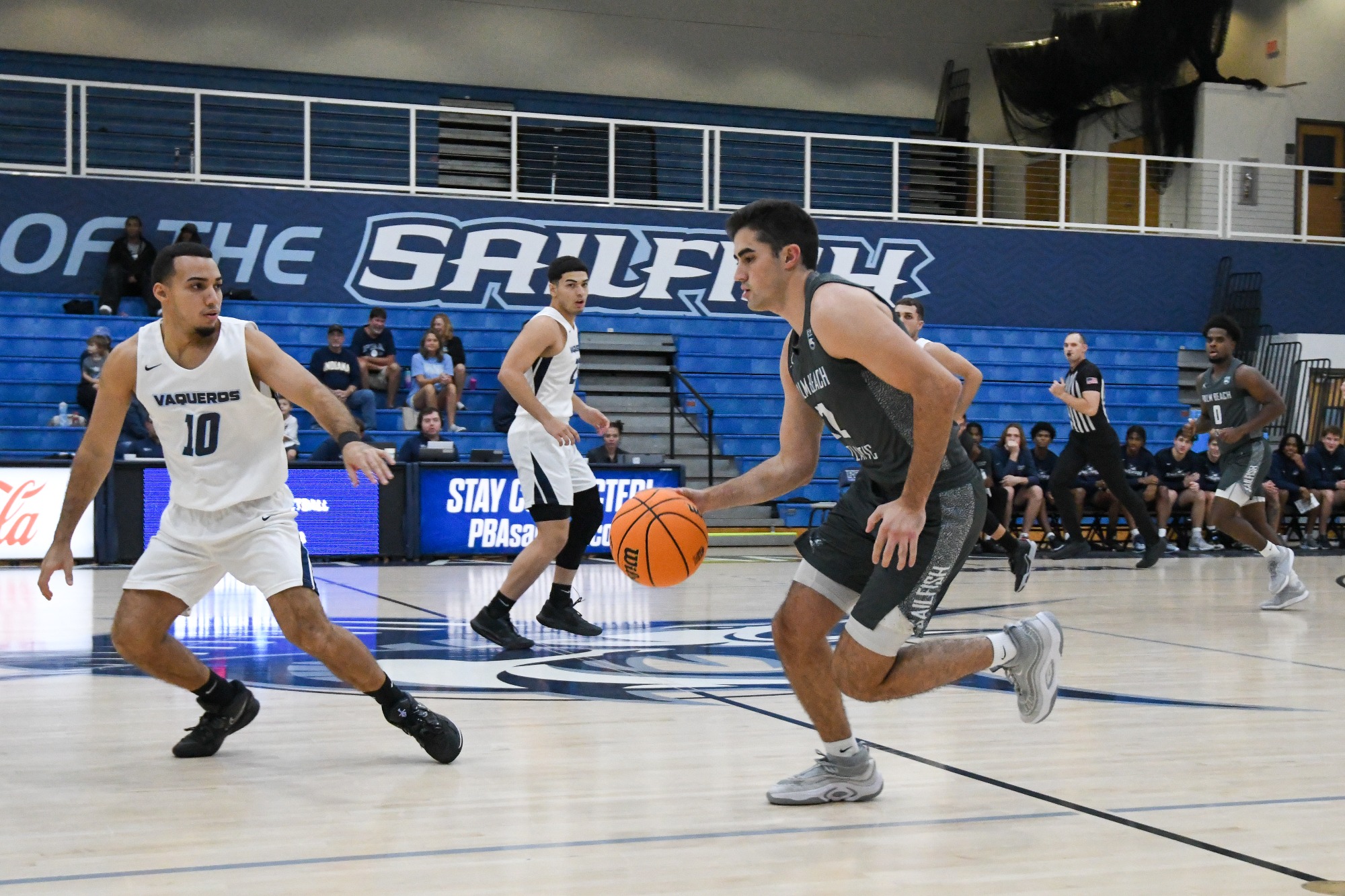 Sailfish Come Up Short Against the Lions - Palm Beach Atlantic ...