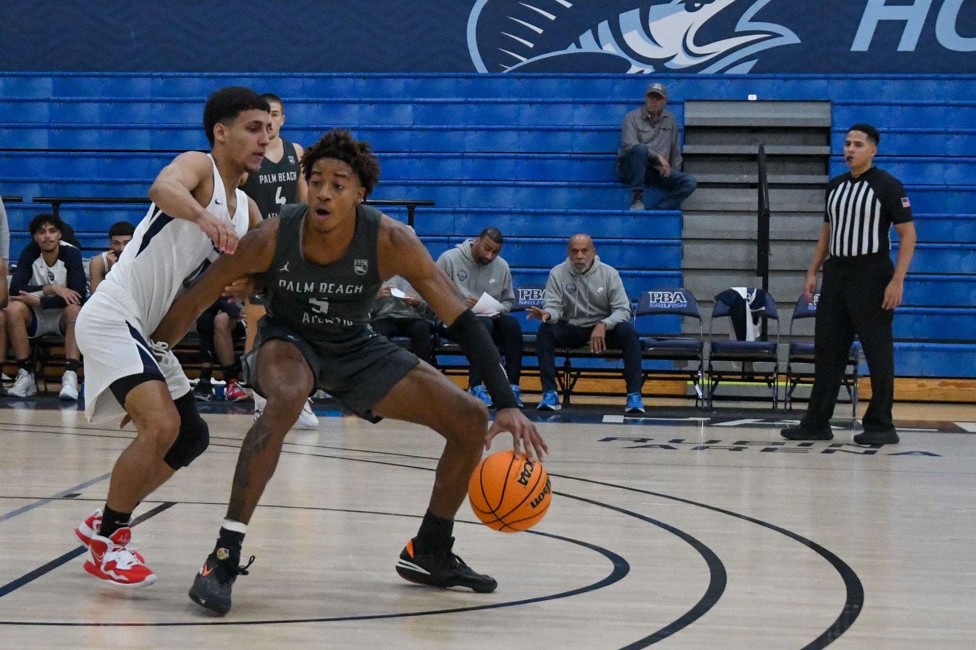 Big Second Half by Walker Lifts Men's Basketball over Tampa - Palm ...
