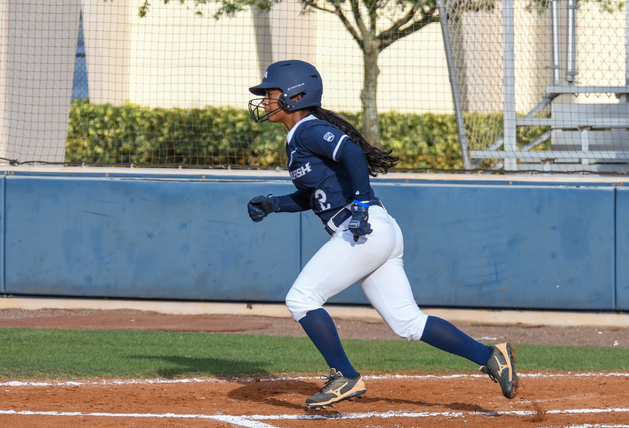 Softball Stumbles Against Tars in Home Finale - Palm Beach Atlantic ...