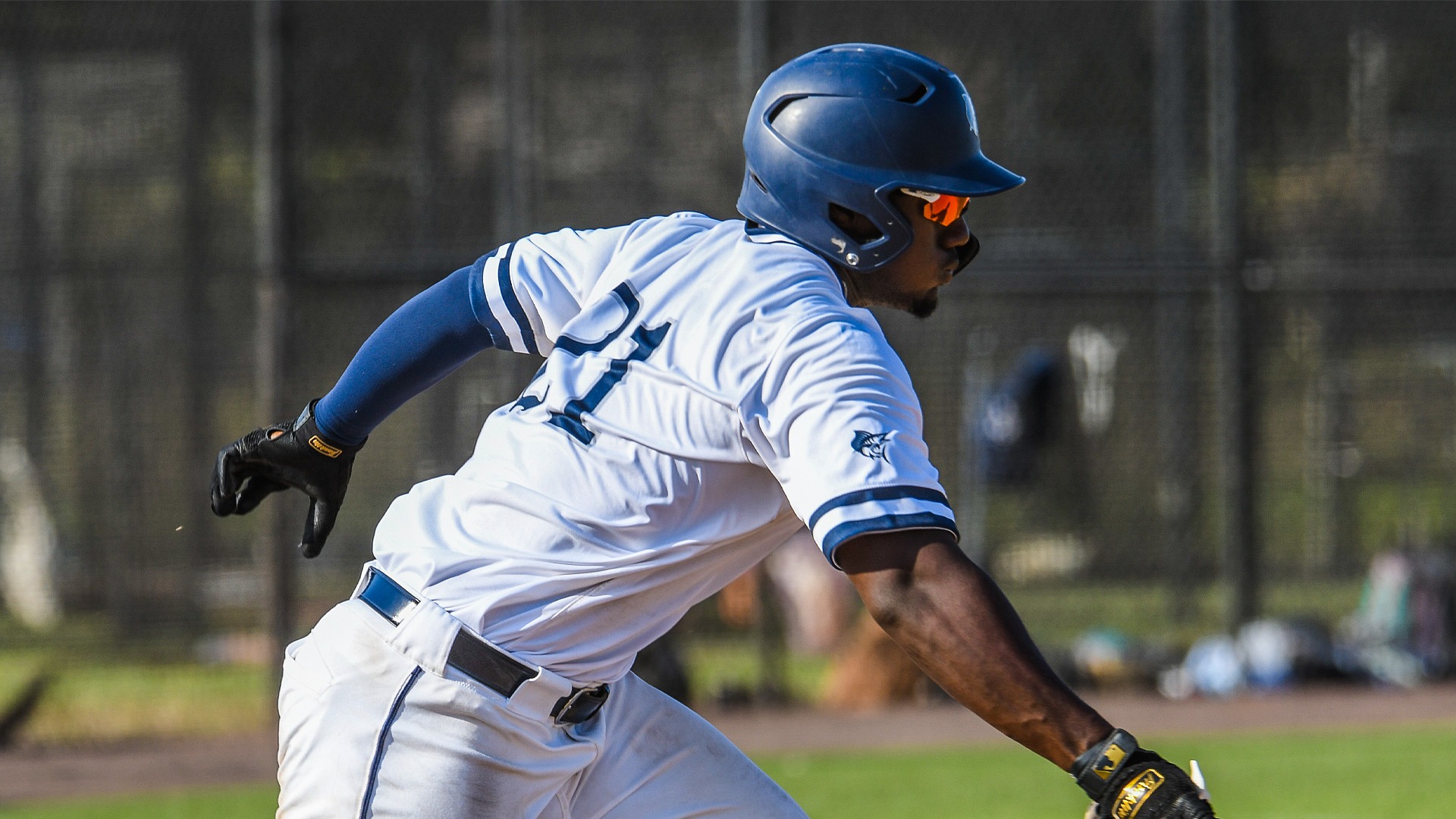 Housen's Heroics Give Sailfish Series Win Over Embry-Riddle - Palm ...