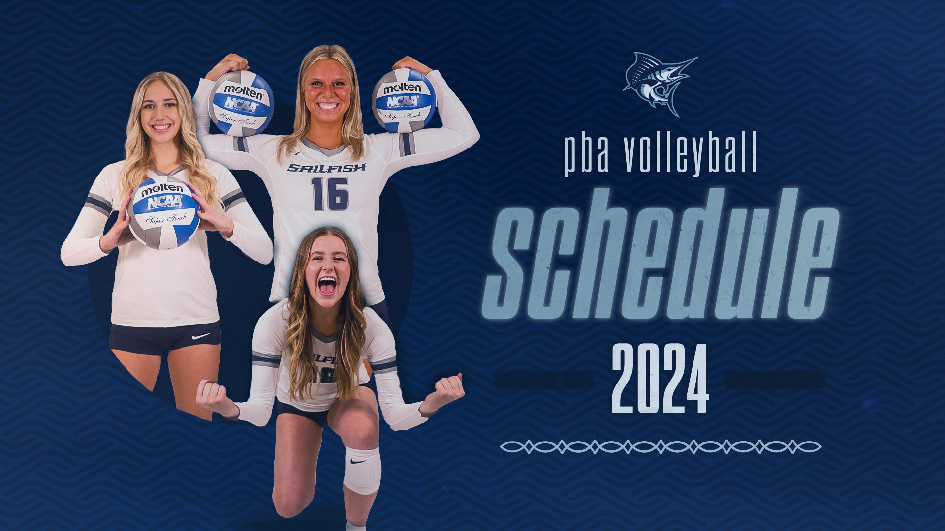 Walters Resigns as PBA Volleyball Coach - Palm Beach Atlantic ...