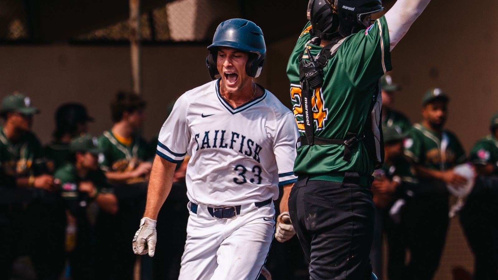 Sailfish Baseball Announces Schedule for 2025 - Palm Beach Atlantic ...