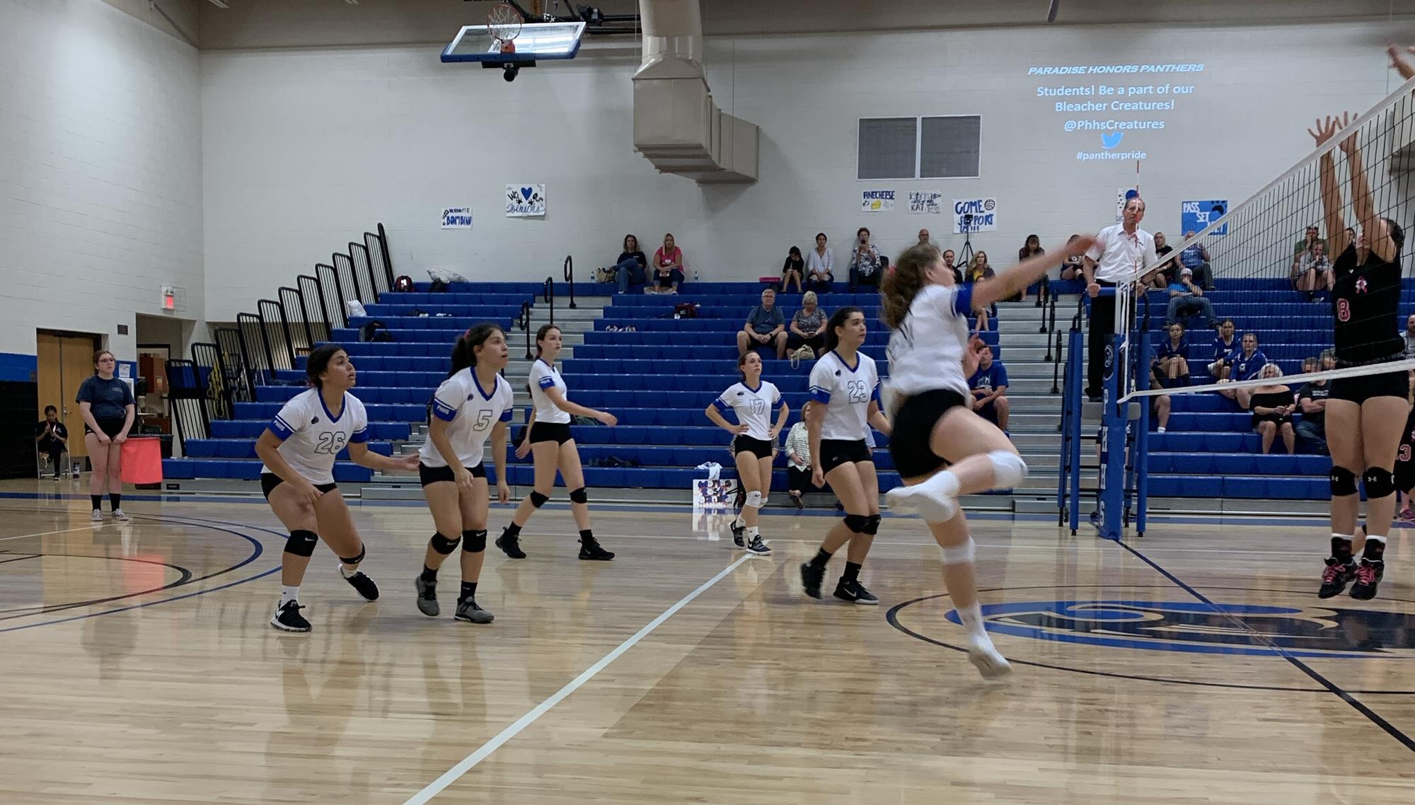 High School Volleyball Open Gym and Try Out Information - Paradise ...