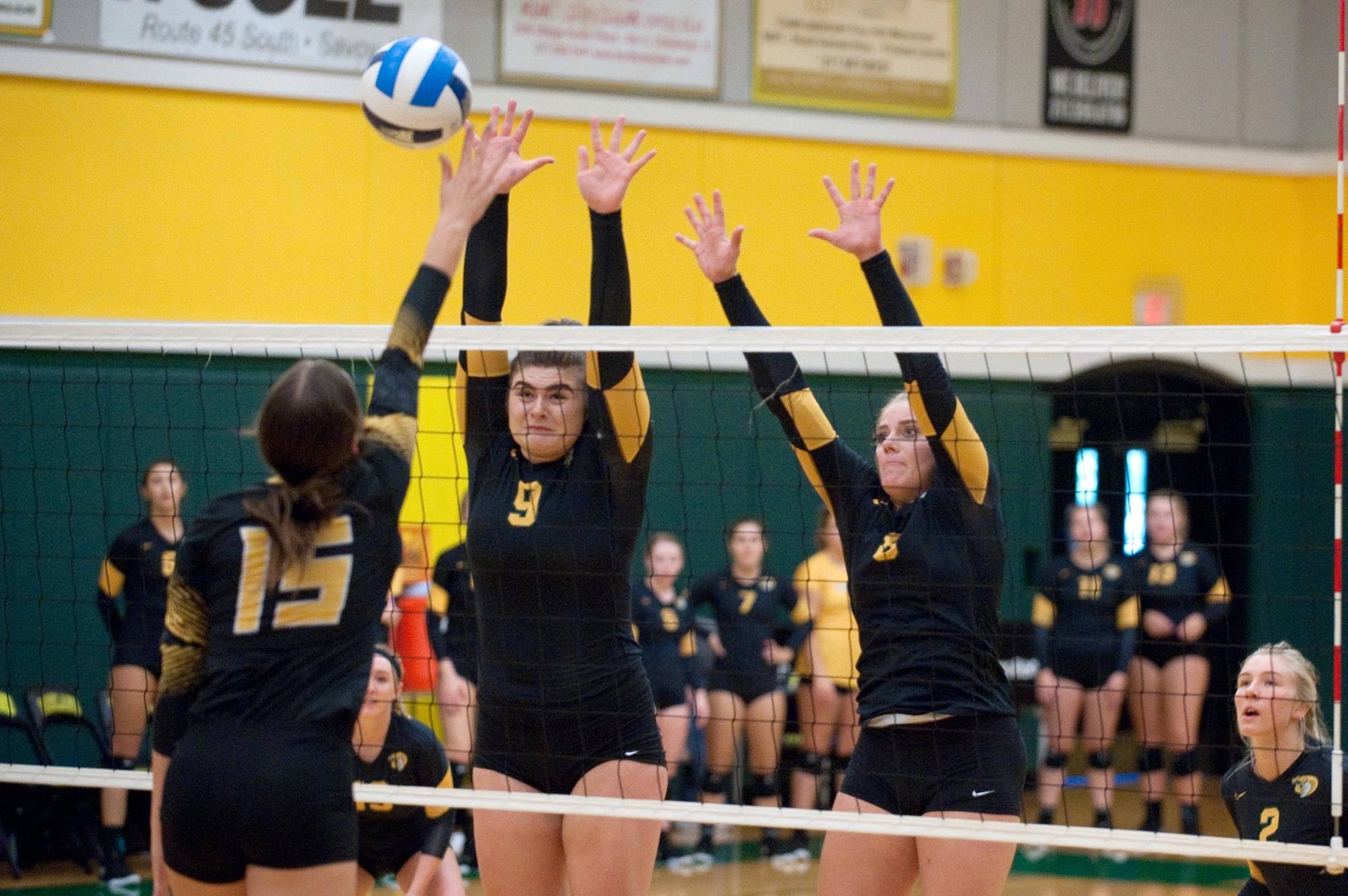 Maddie Allen - Women's Volleyball - Parkland College Athletics