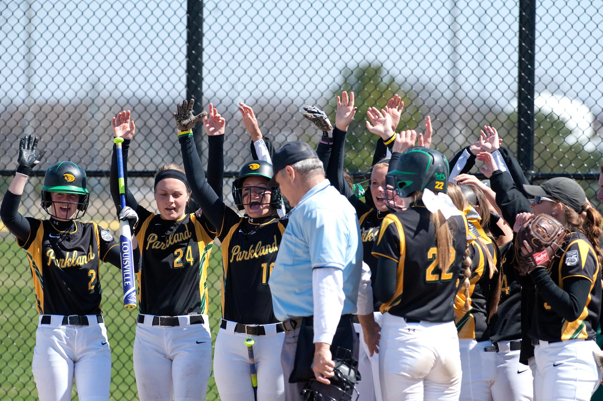 Bats come to life as Cobra Softball sweeps D-3 power Rock Valley ...