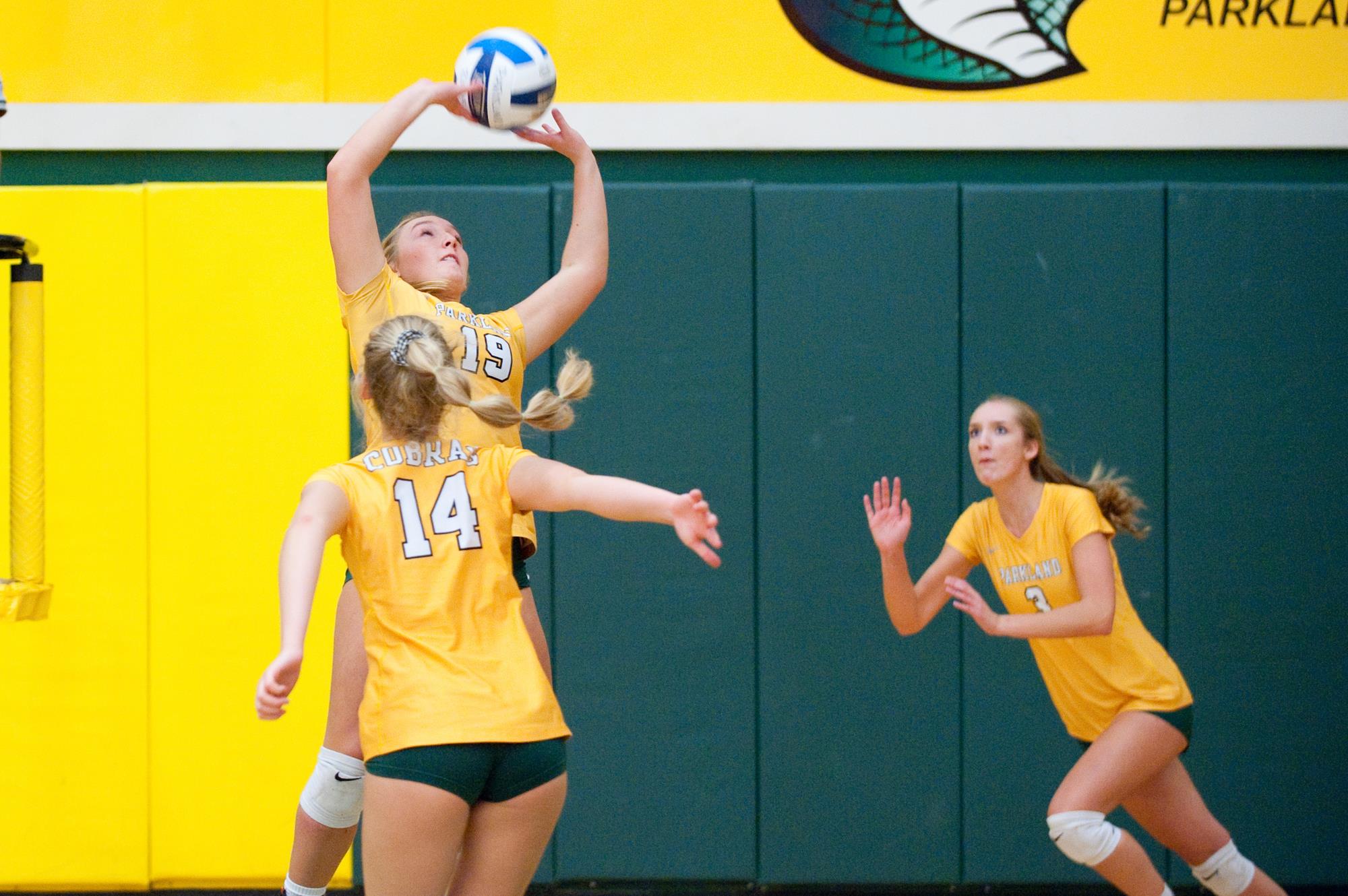 Rachel Verdun - Women's Volleyball - Parkland College Athletics