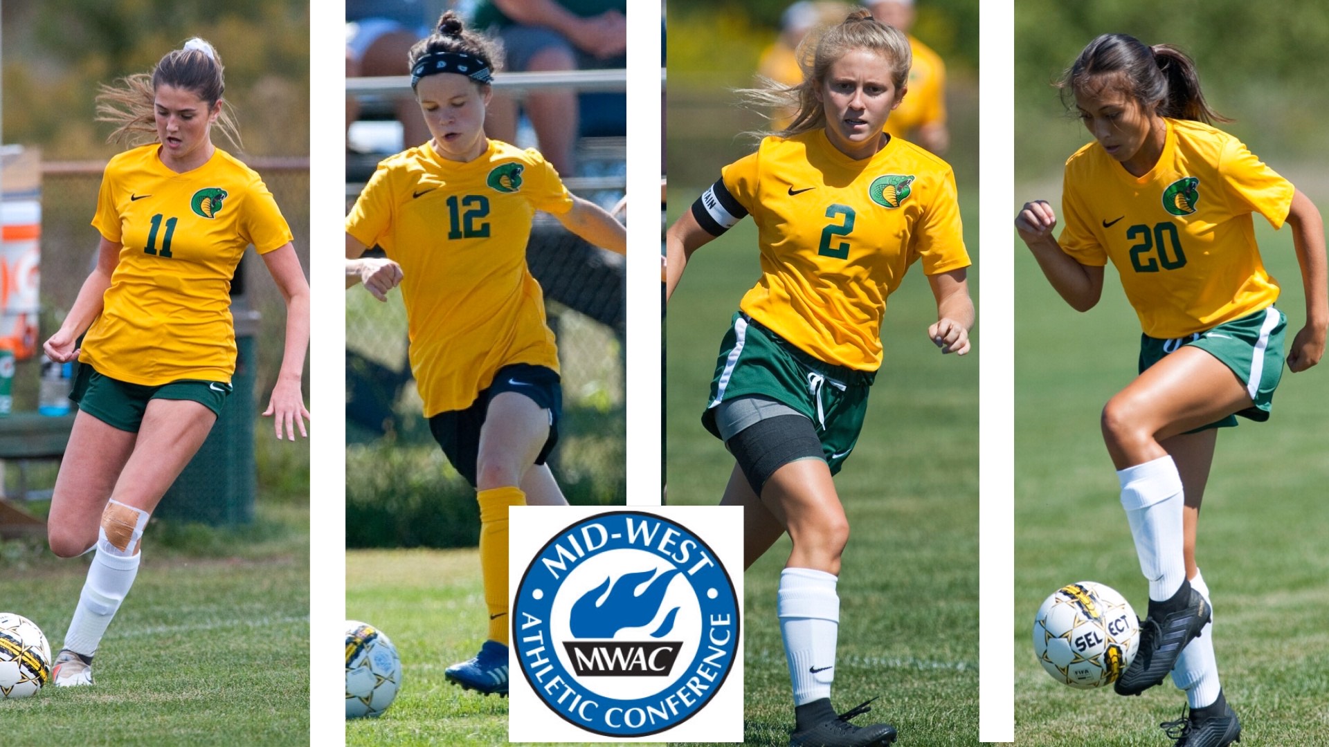 Four Cobras Chosen MWAC All-Conference - Parkland College Athletics