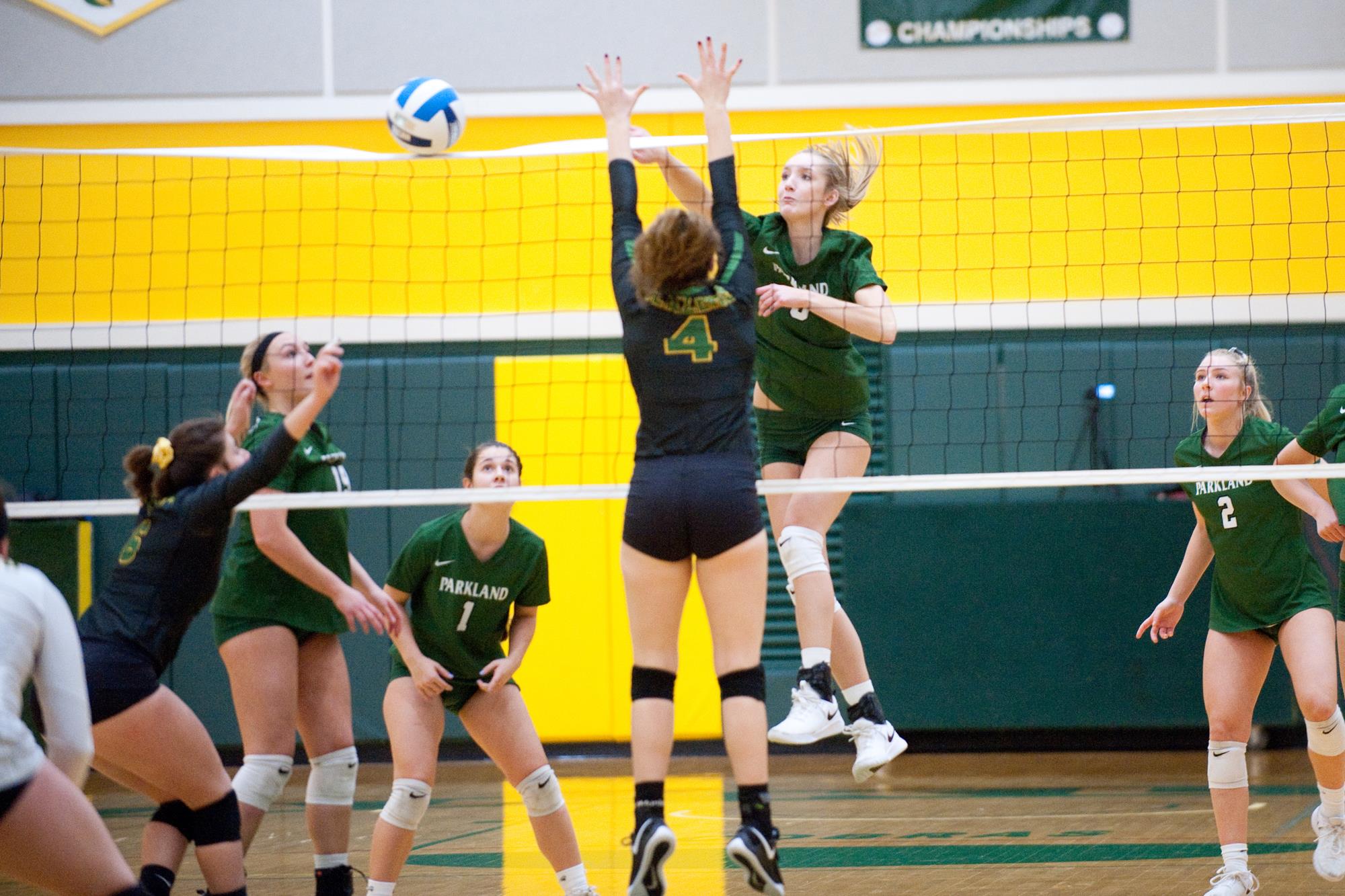 Abigail Burnett - Women's Volleyball - Parkland College Athletics
