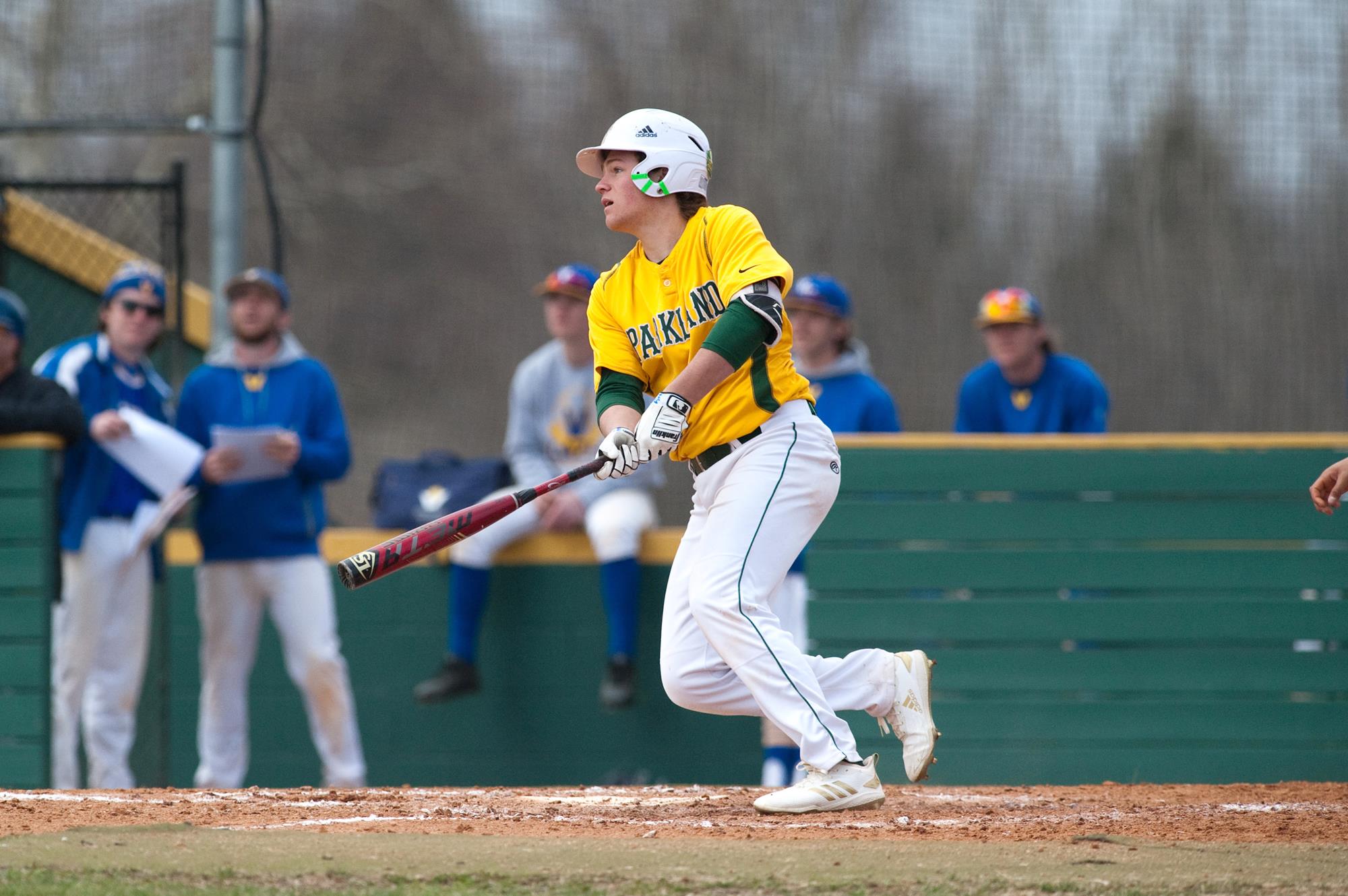 Austin Biehl - Baseball - Parkland College Athletics