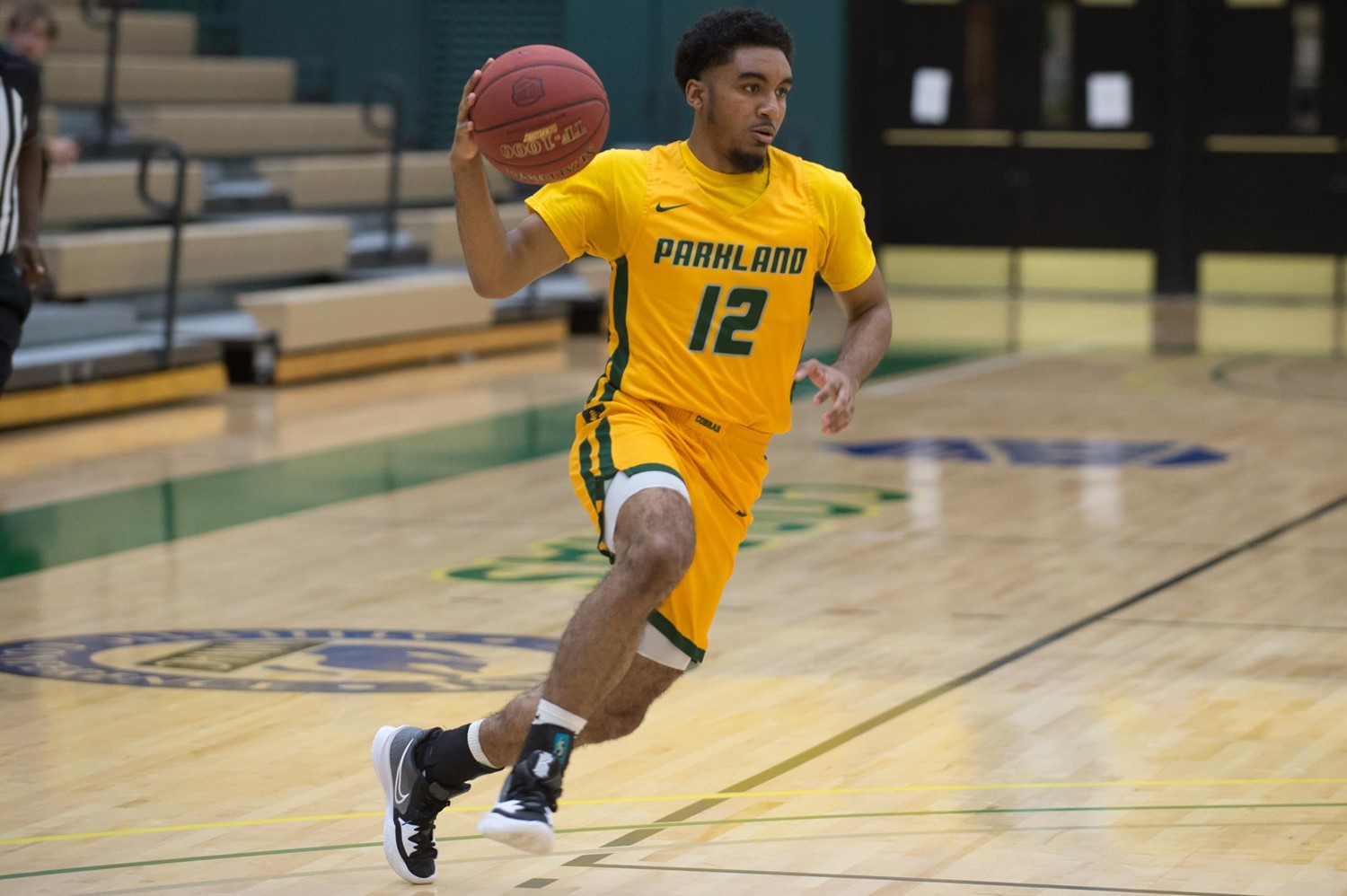 Daniel Reed - Men's Basketball - Parkland College Athletics