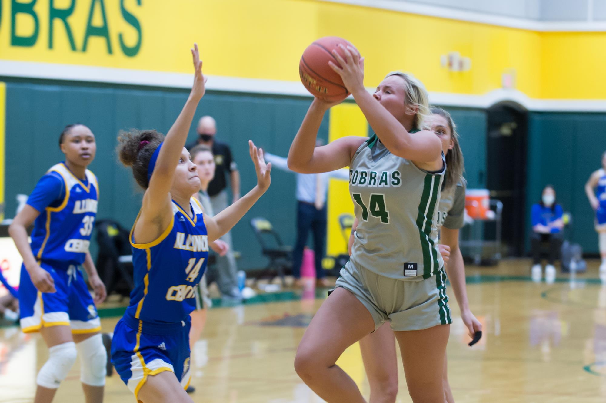 Bree Trimble - Women's Basketball - Parkland College Athletics