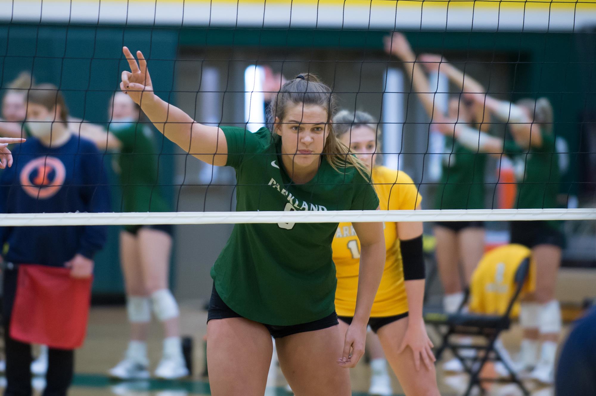 Halle Everett - Women's Volleyball - Parkland College Athletics