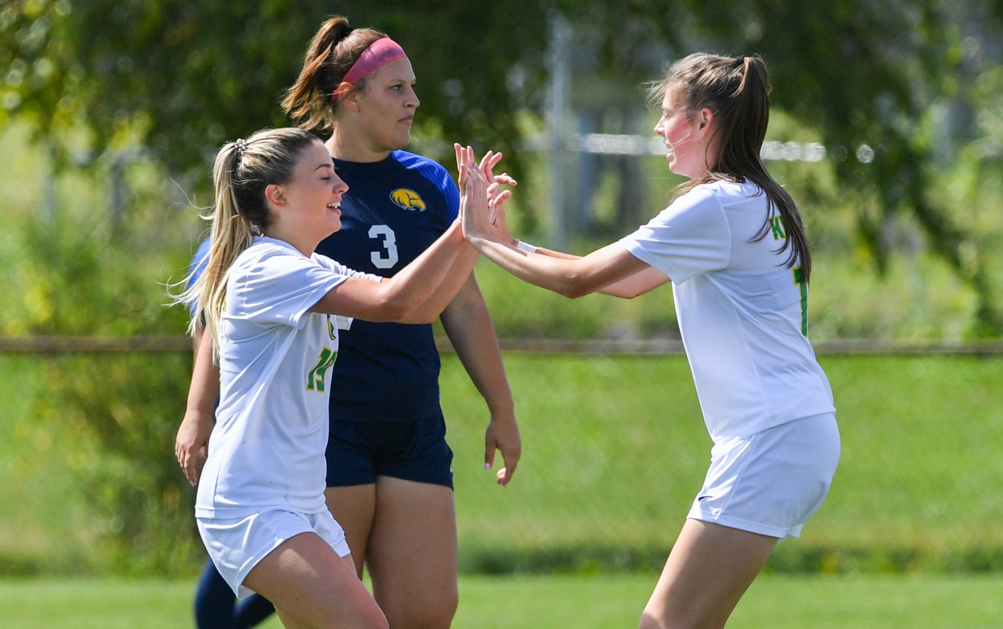 Lisa Kirwan - Women's Soccer - Parkland College Athletics