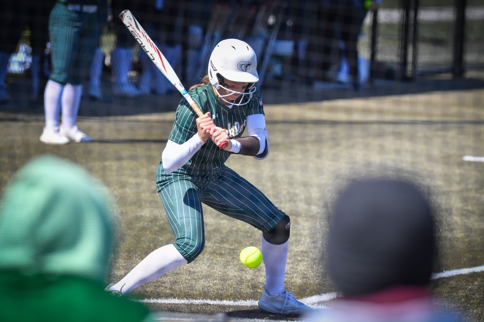 Lizzie Stiverson - Softball - Parkland College Athletics