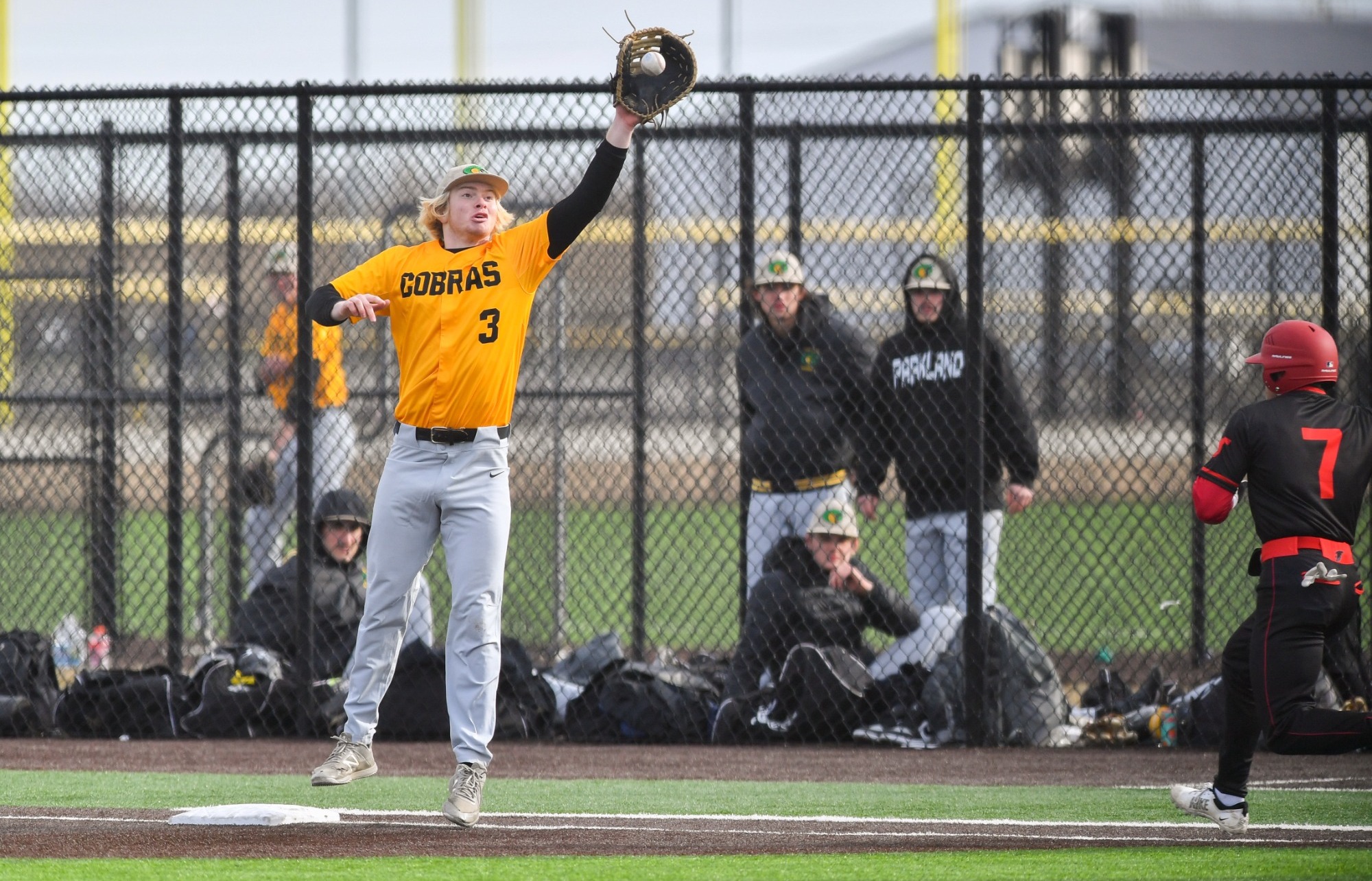 Logan Reidelberger - Baseball - Parkland College Athletics