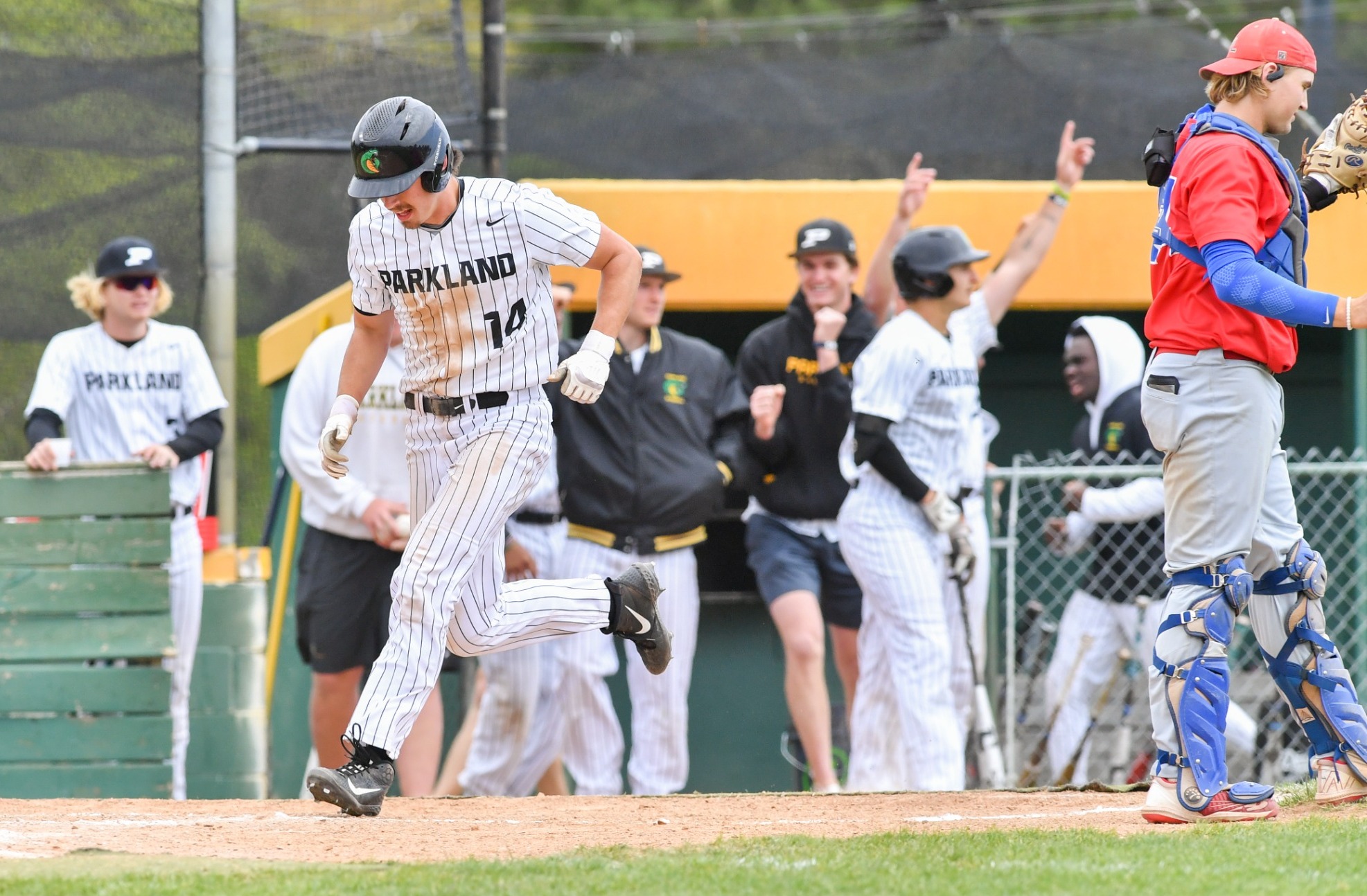 Ryan Snell - Baseball - Parkland College Athletics