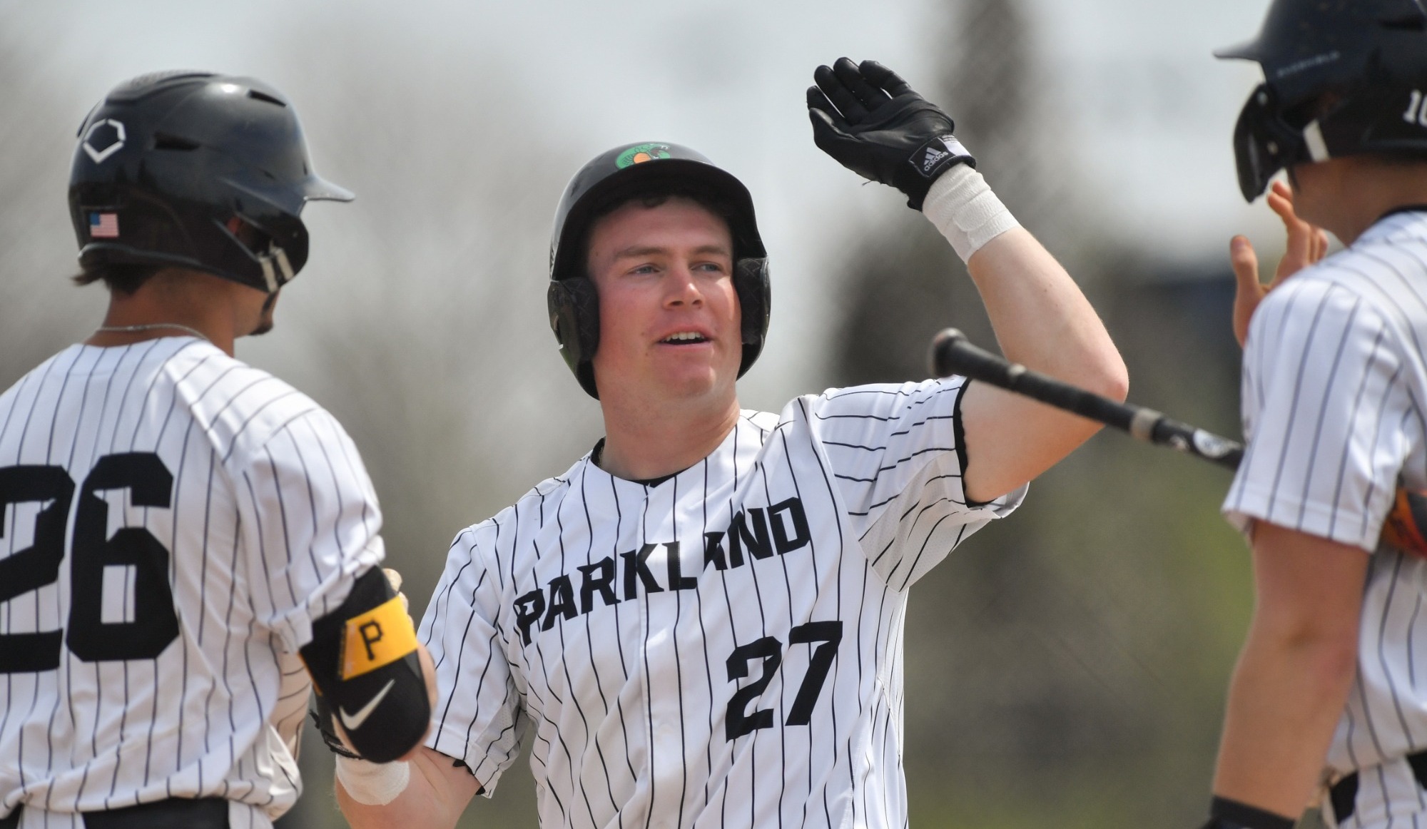 Parkland Baseball Takes Two at Danville Area Community College ...