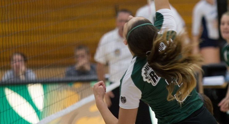Lisa Gregerson - Volleyball - Parkside Athletics