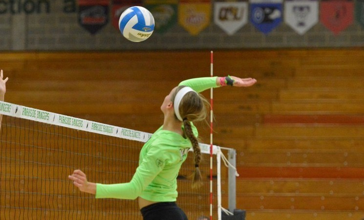 Elizabeth Mavis - Volleyball - Parkside Athletics