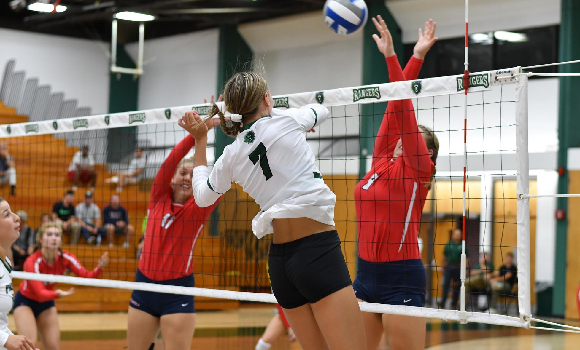 Elizabeth Mavis - Volleyball - Parkside Athletics