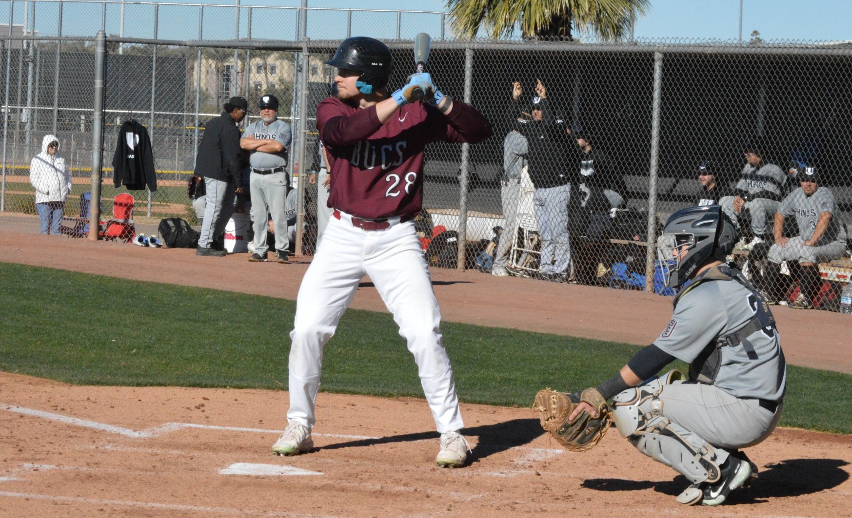 Dawson Wedeking - 2024 - Baseball - Park University (AZ)