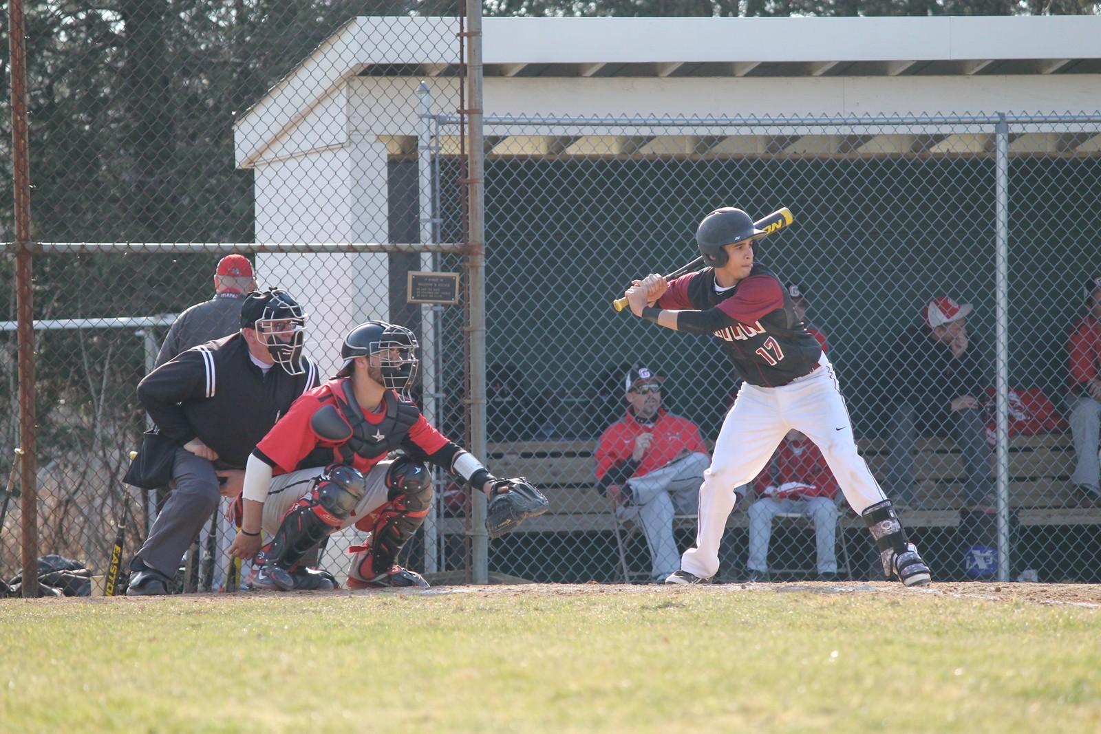 Manny Rivera - 2014 - Baseball - Cairn University Athletics