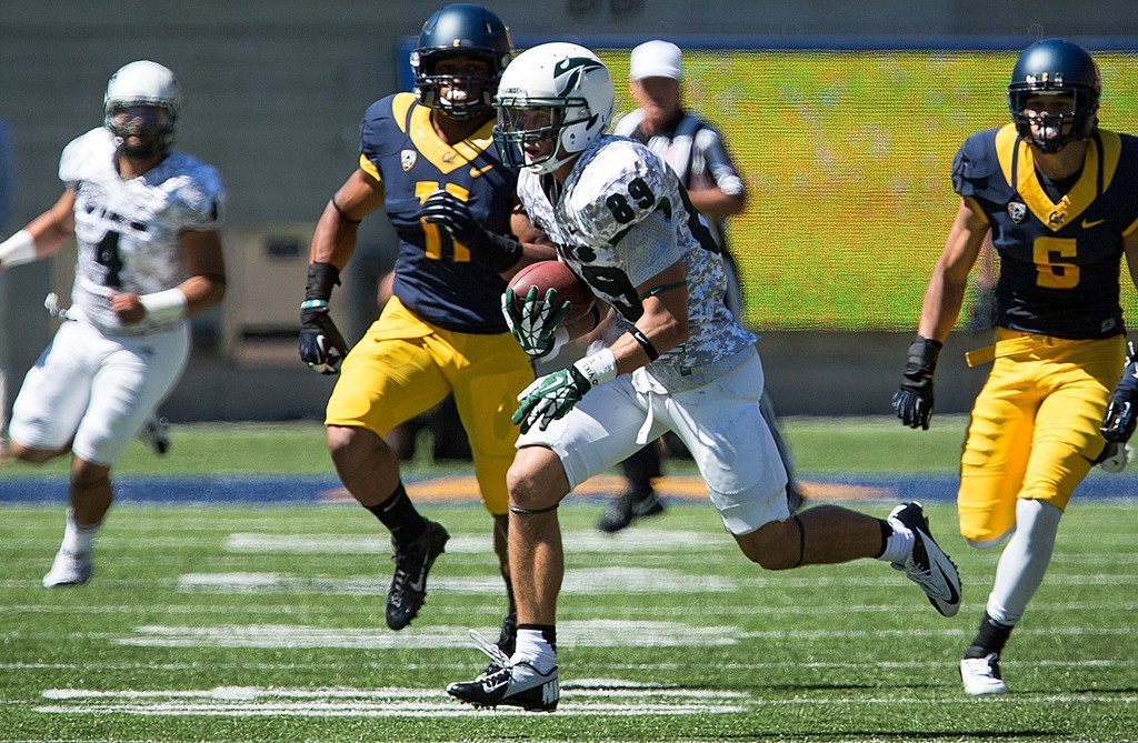 Kasey Closs - 2014 - Football - Portland State University Athletics