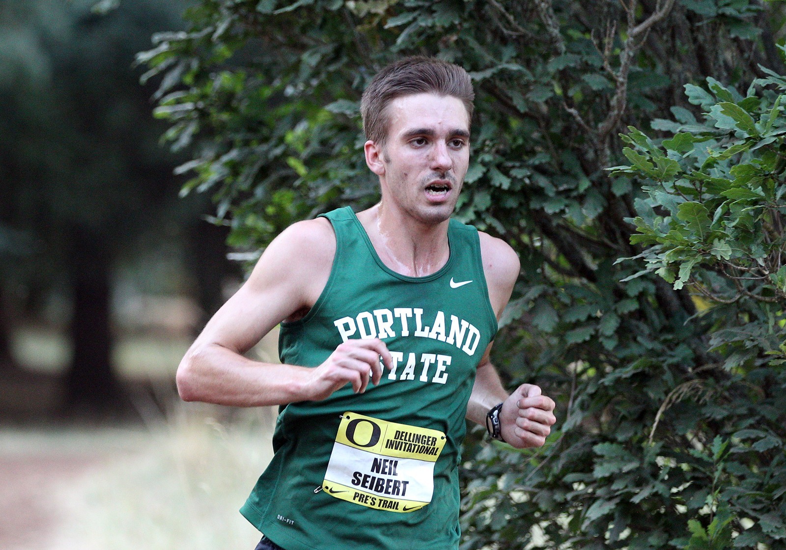 Neil Seibert - 2015 - Cross Country - Portland State University Athletics