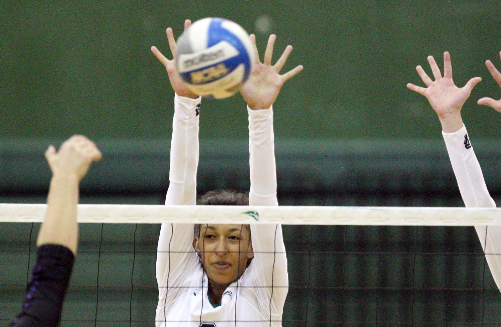 Emani Jackson - 2015 - Women's Volleyball - Portland State University ...