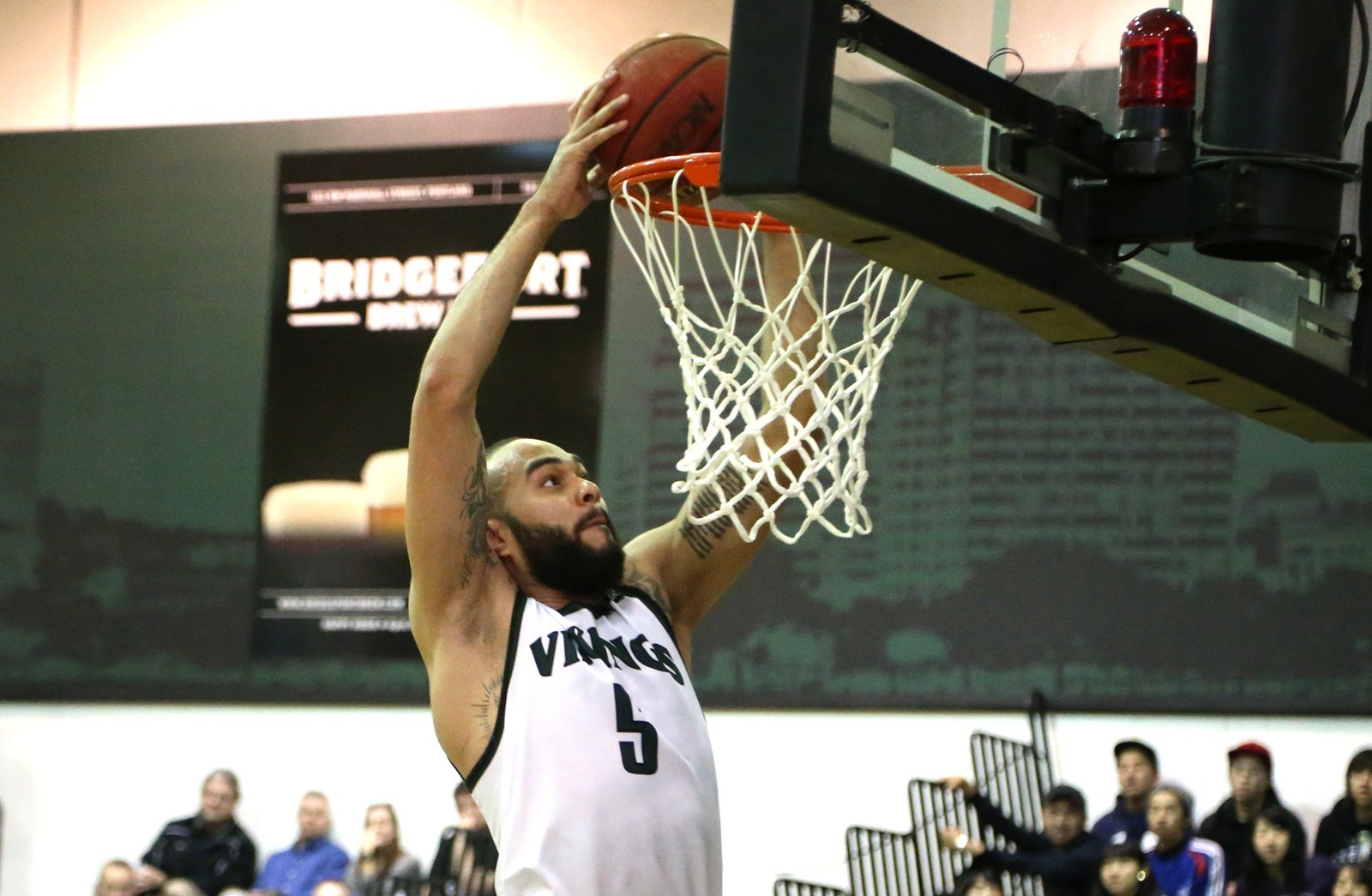 Cameron Forte - 2015-16 - Men's Basketball - Portland State University ...