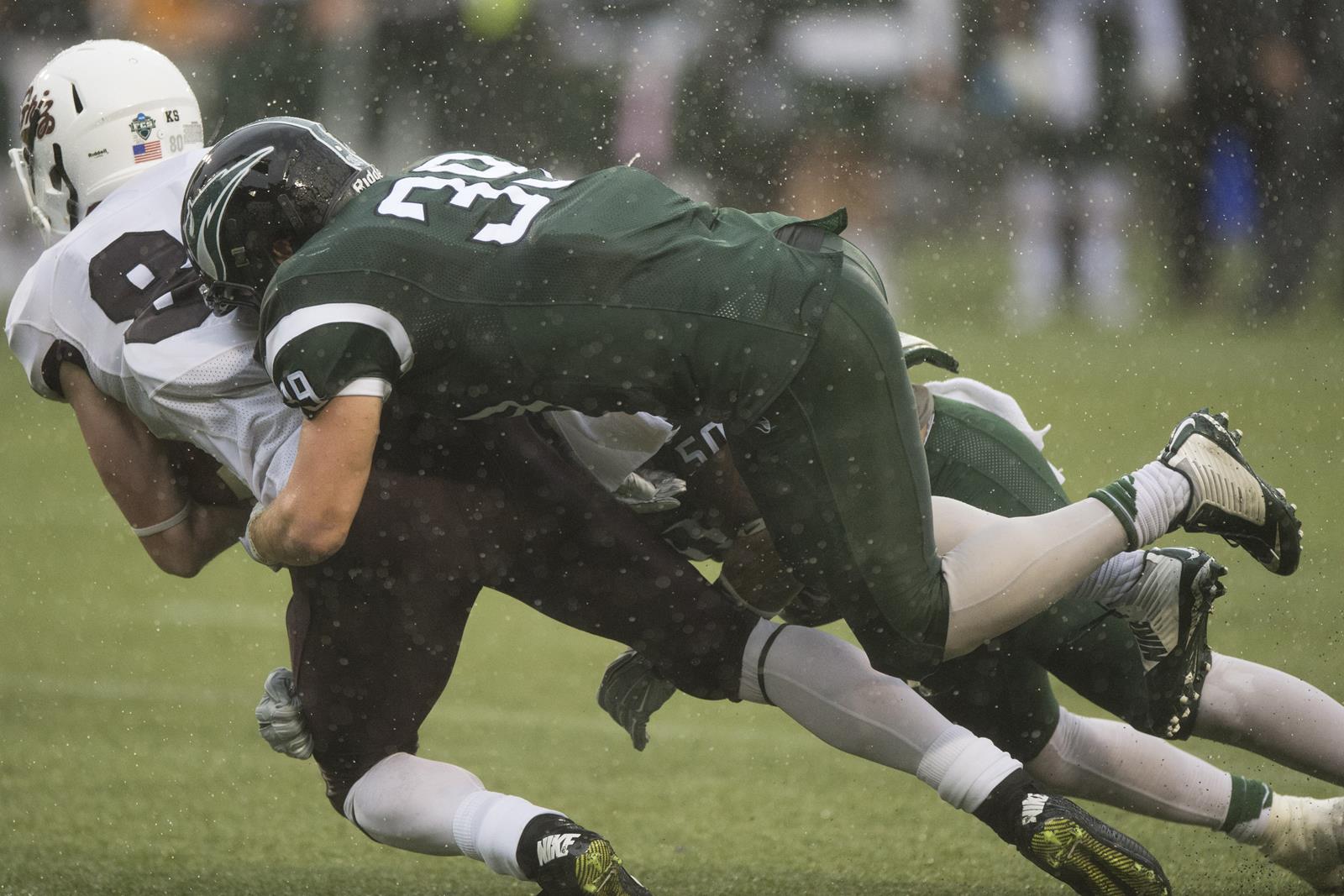 Beau Duronslet - 2017 - Football - Portland State University Athletics